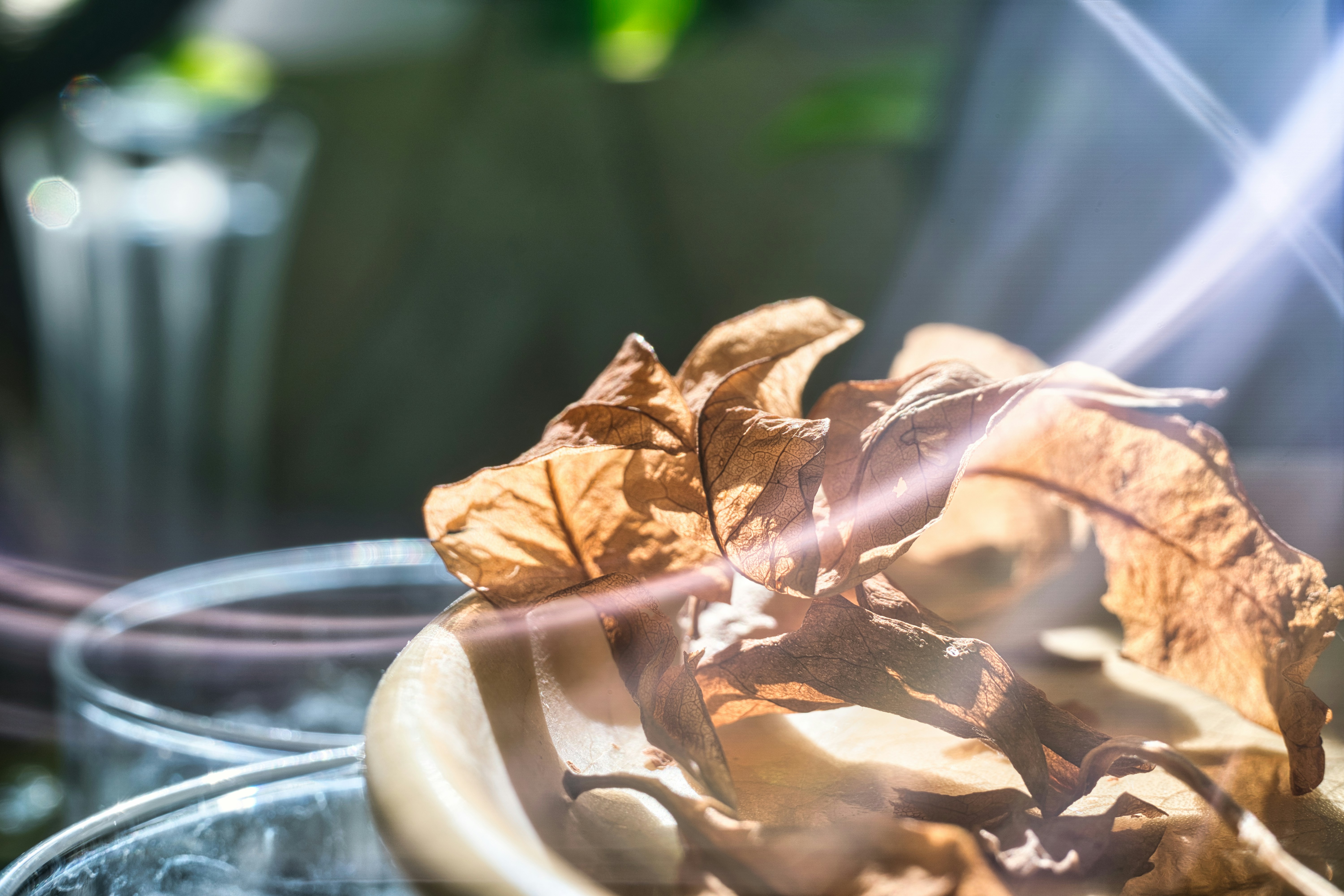 Autumn Leaf Fragments Resting in a Ceramic Bowl with Glassware Bokeh