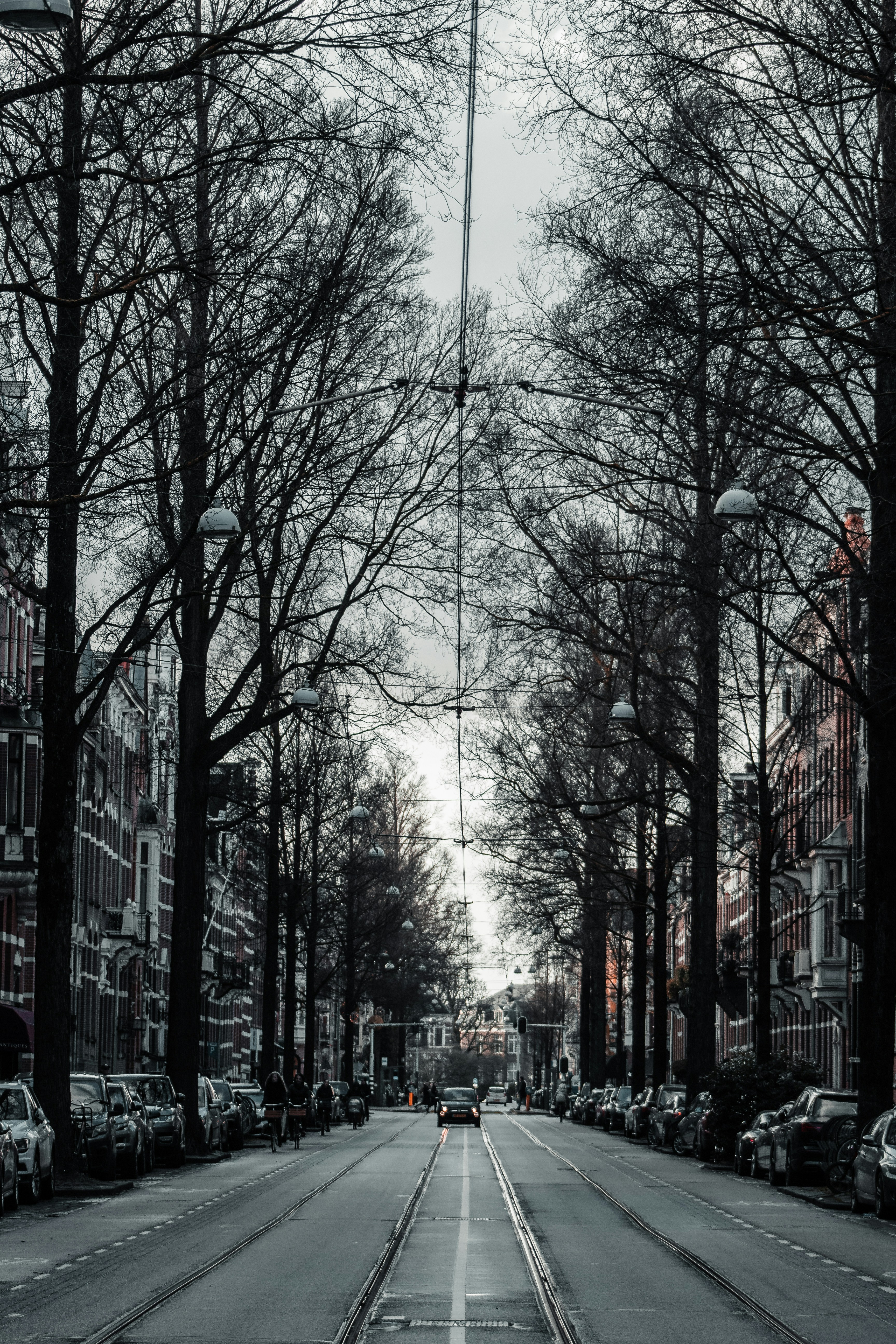  lignes tramway: a quiet urban corridor under bare trees