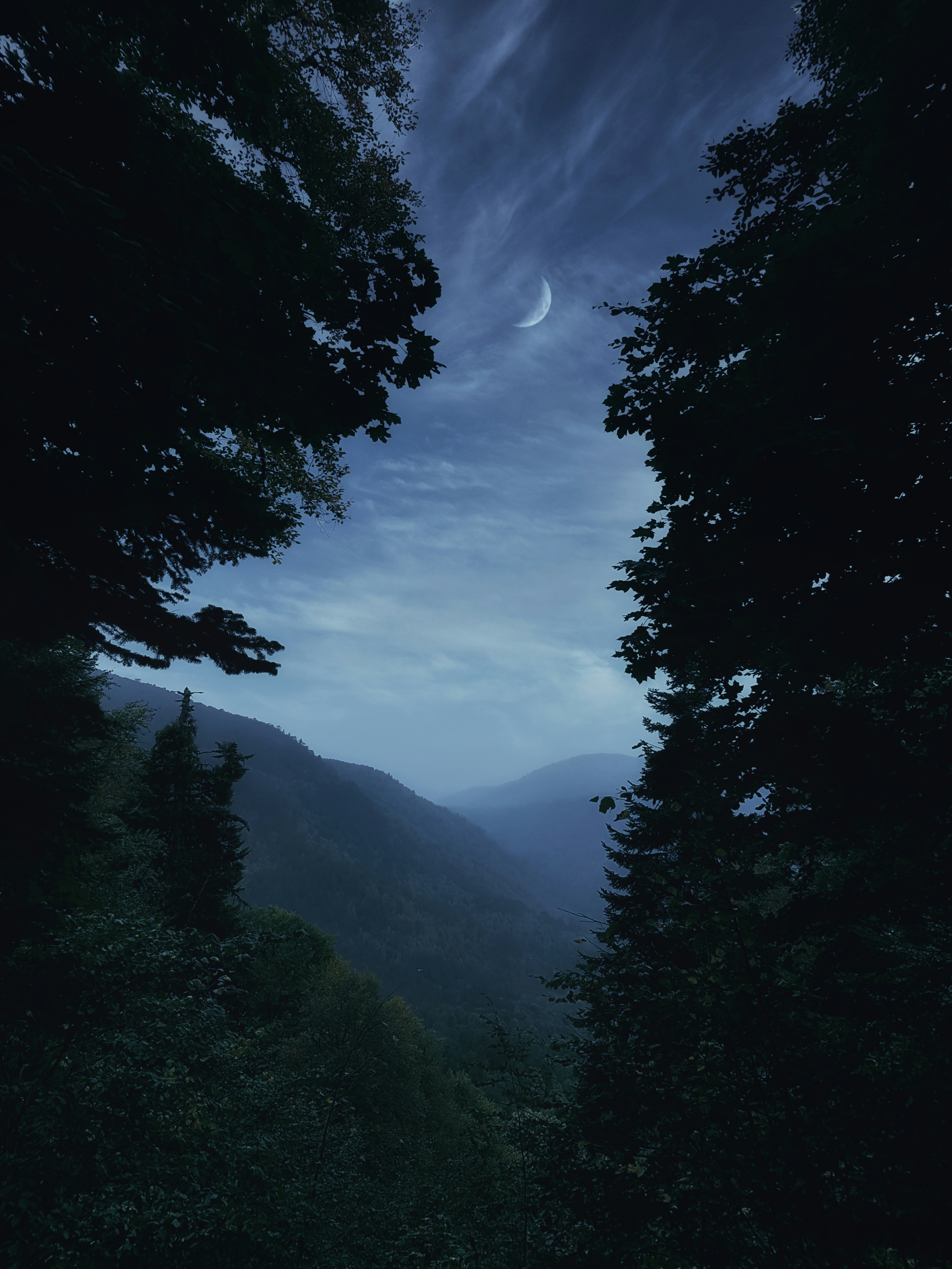 Crescent Moon over the Velvet Valley: Nightfall Between Silent Pines