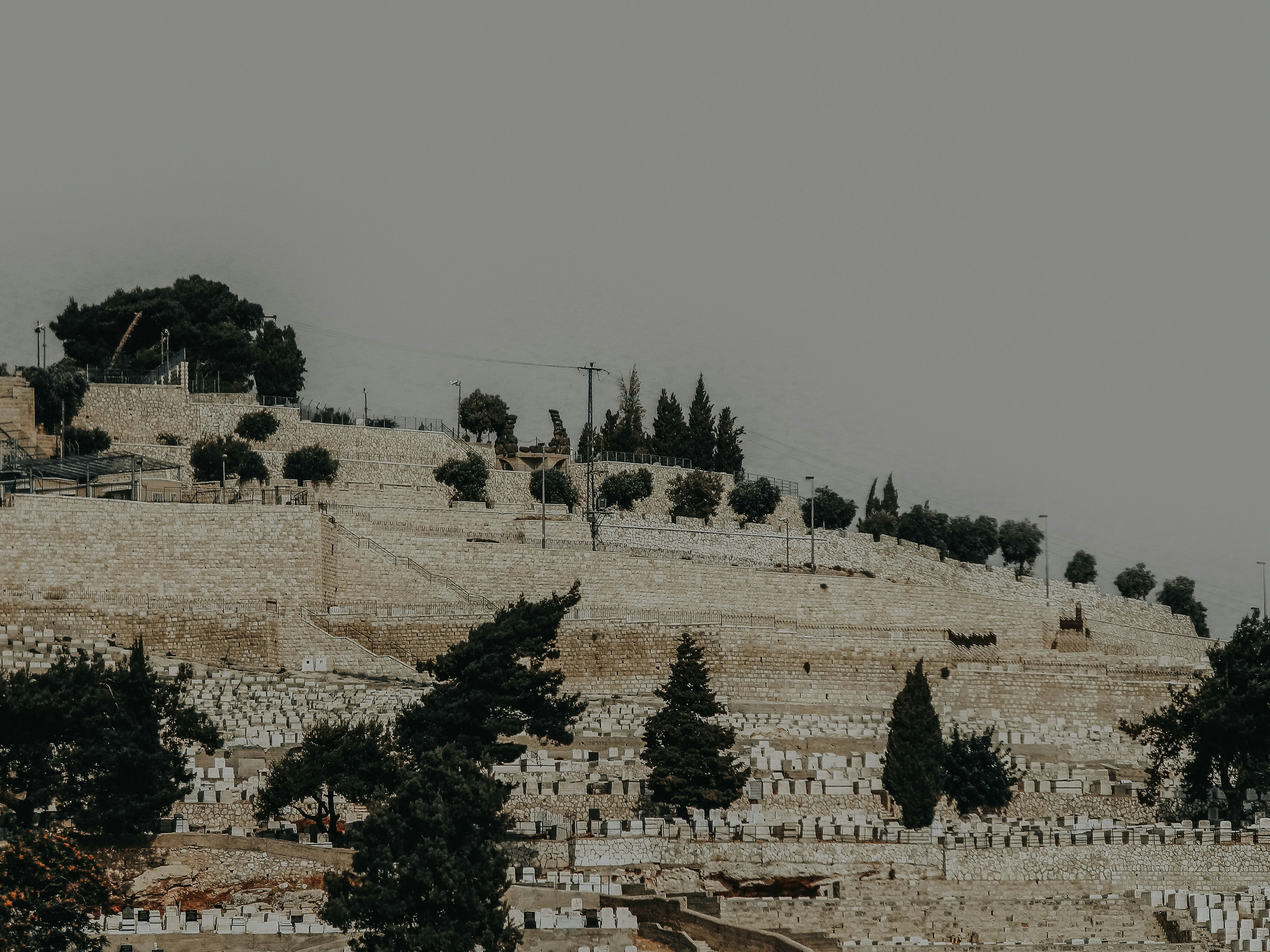 Monochrome landscape highlighting layered stone terraces and scattered trees along a quiet hillside. The composition emphasizes geometric stonework against a pale sky.