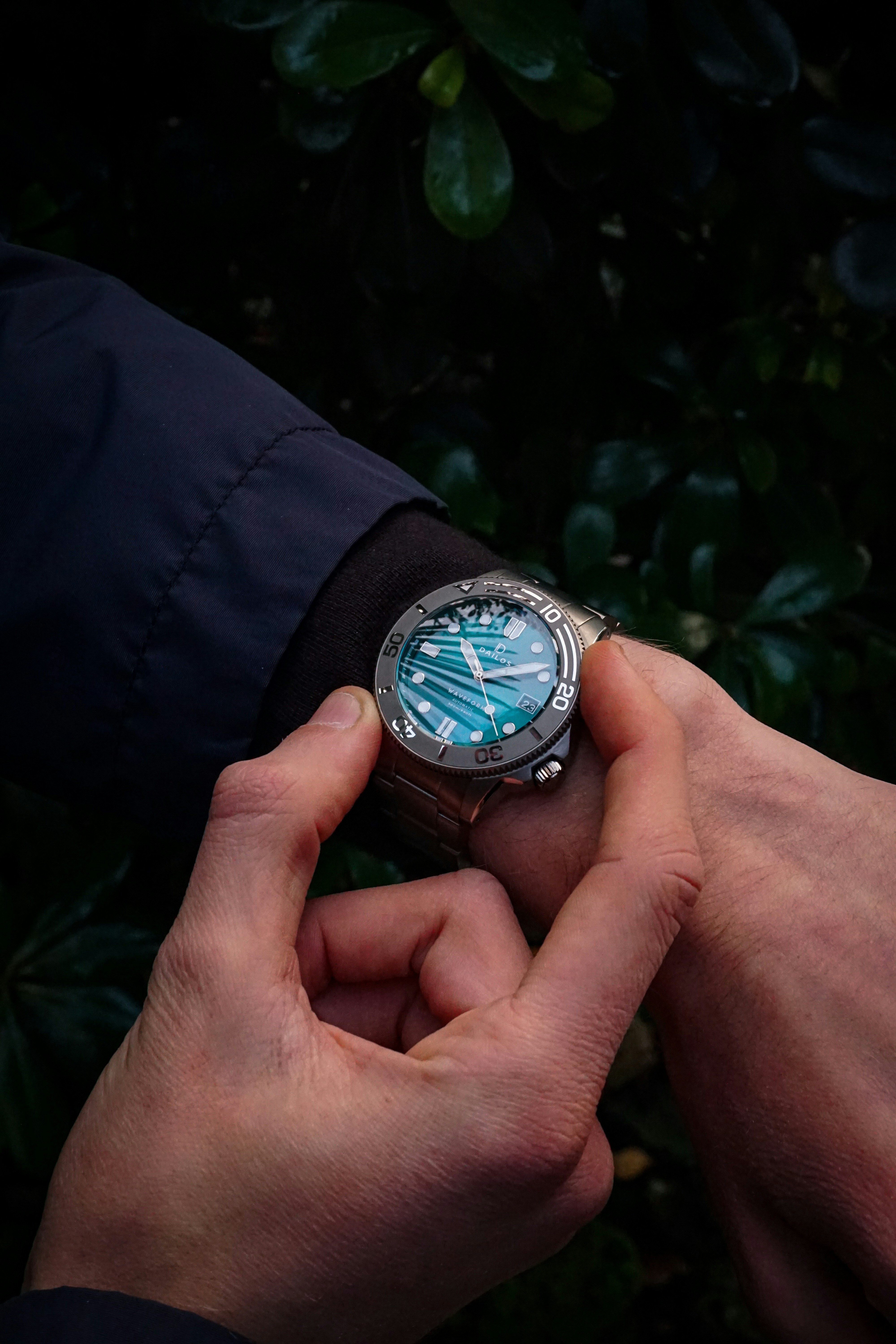 Blue Dial Diver’s Watch Resting in Shadowed Foliage