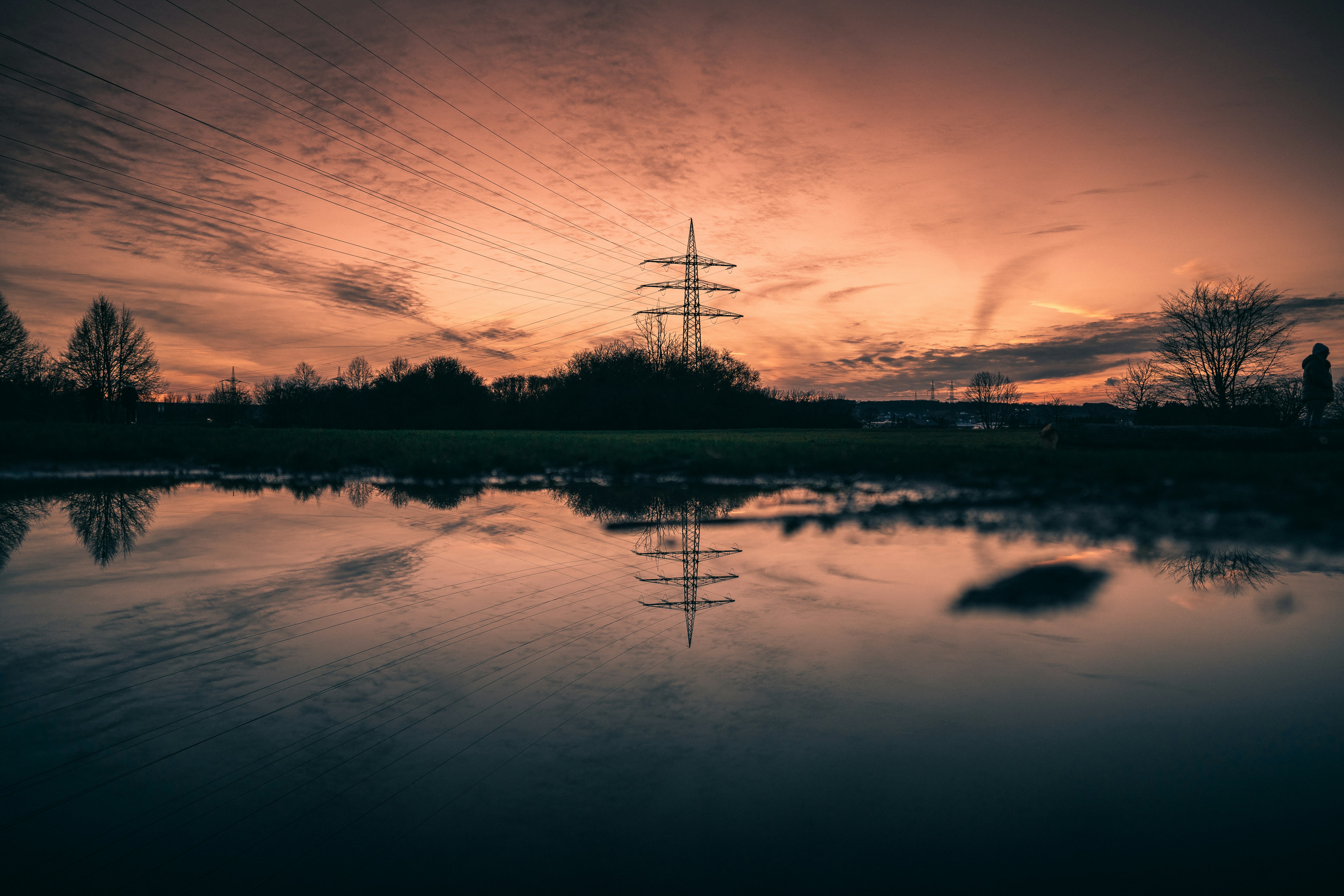 silhouette of trees near body of water during sunset