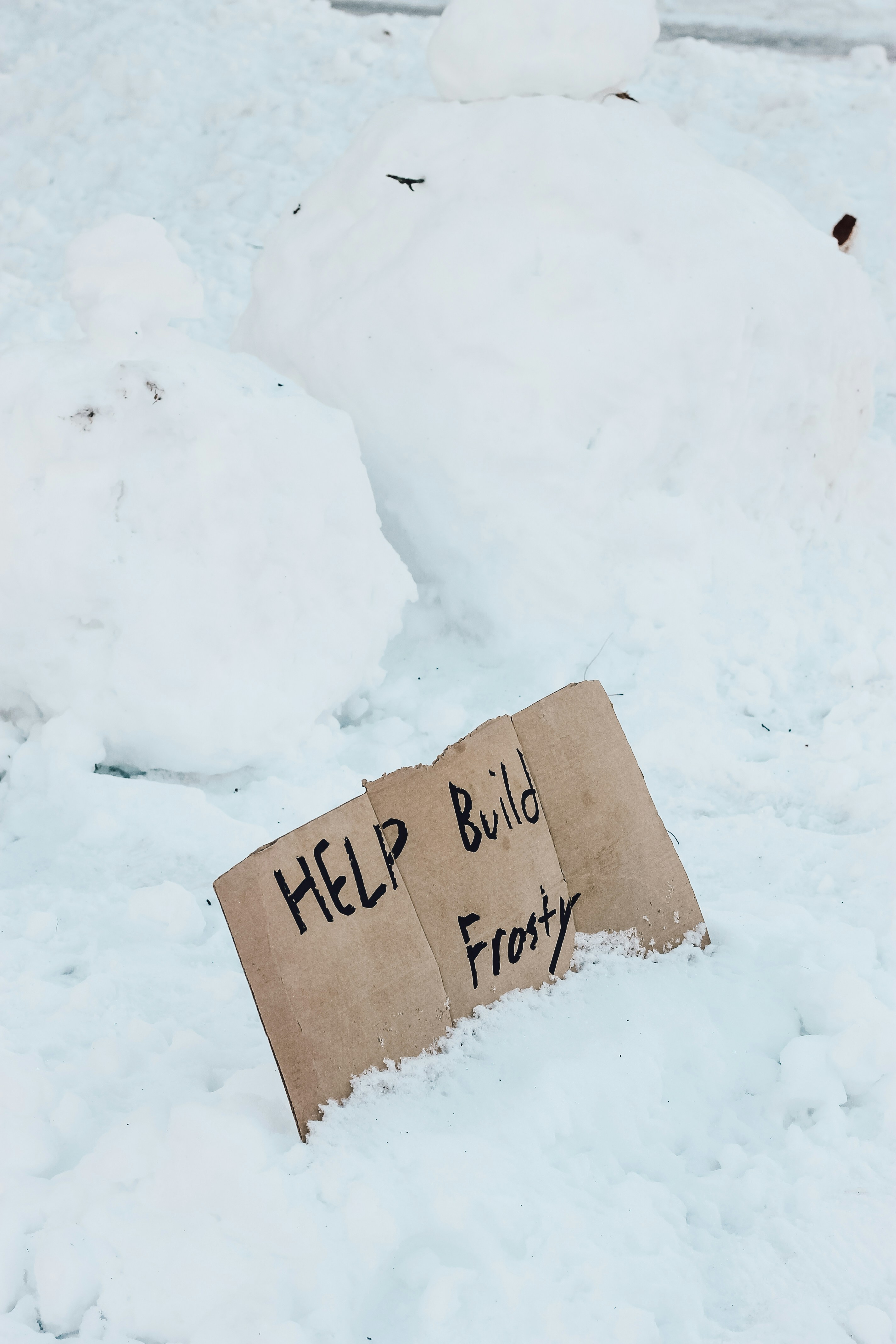 Cardboard Call for Help Among Snowy Mounds