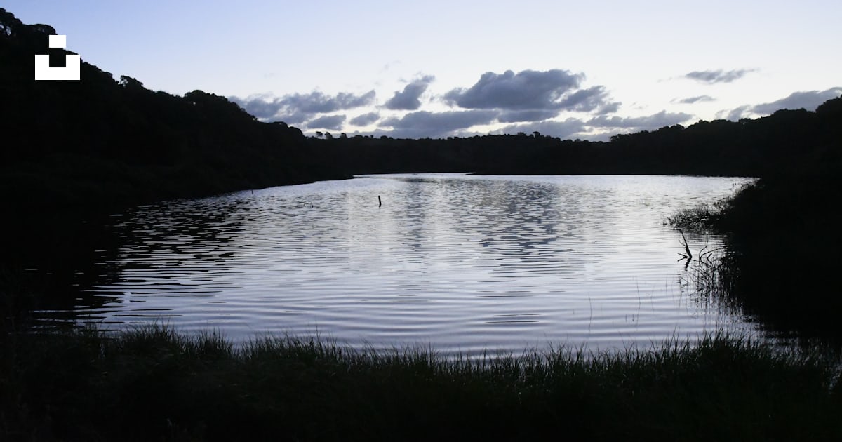 Green Grass Near Body Of Water During Daytime Photo Free Australia