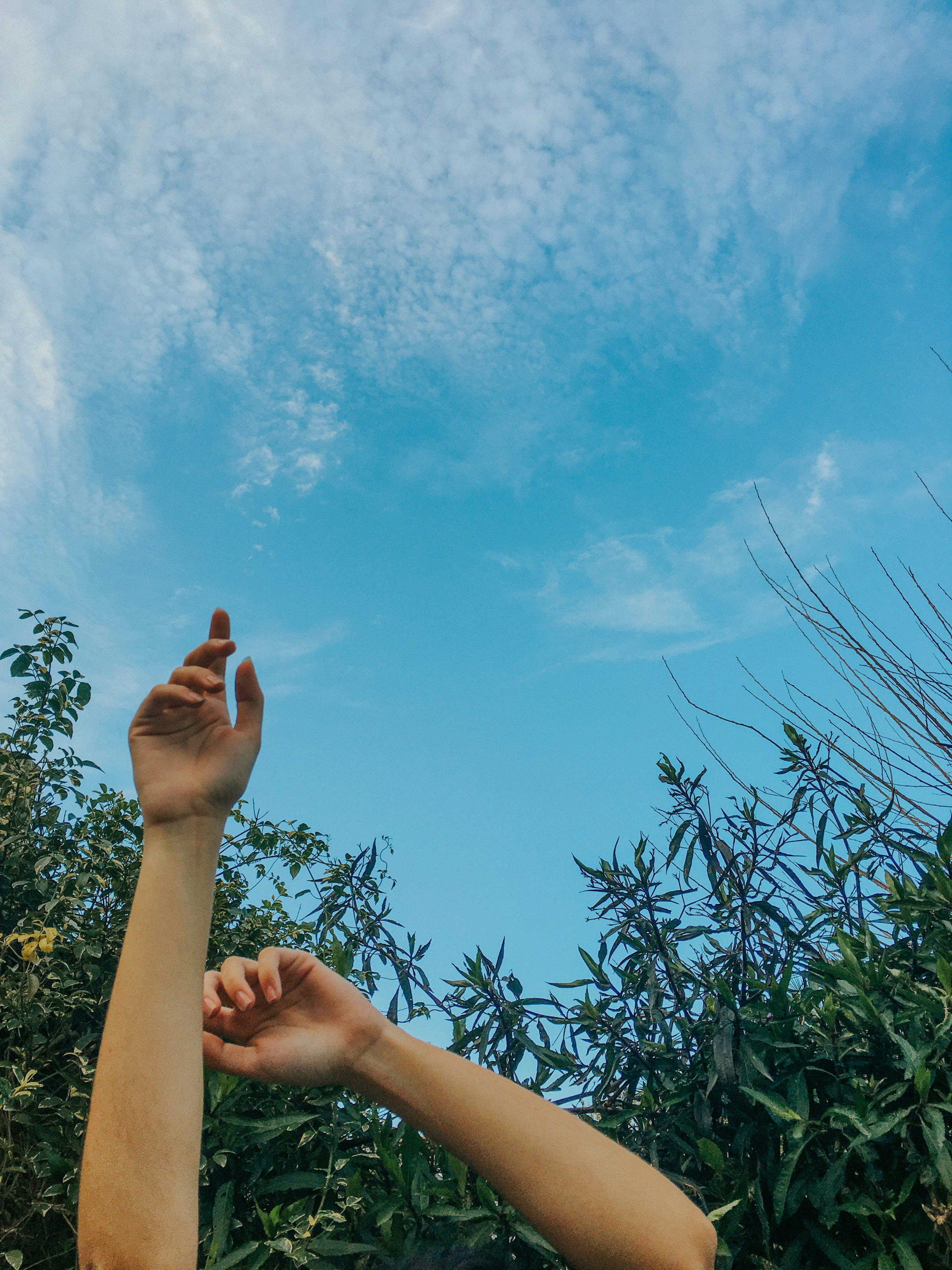 Vick Bufano (@vickybufano) | Comunidade de fotos da Unsplash