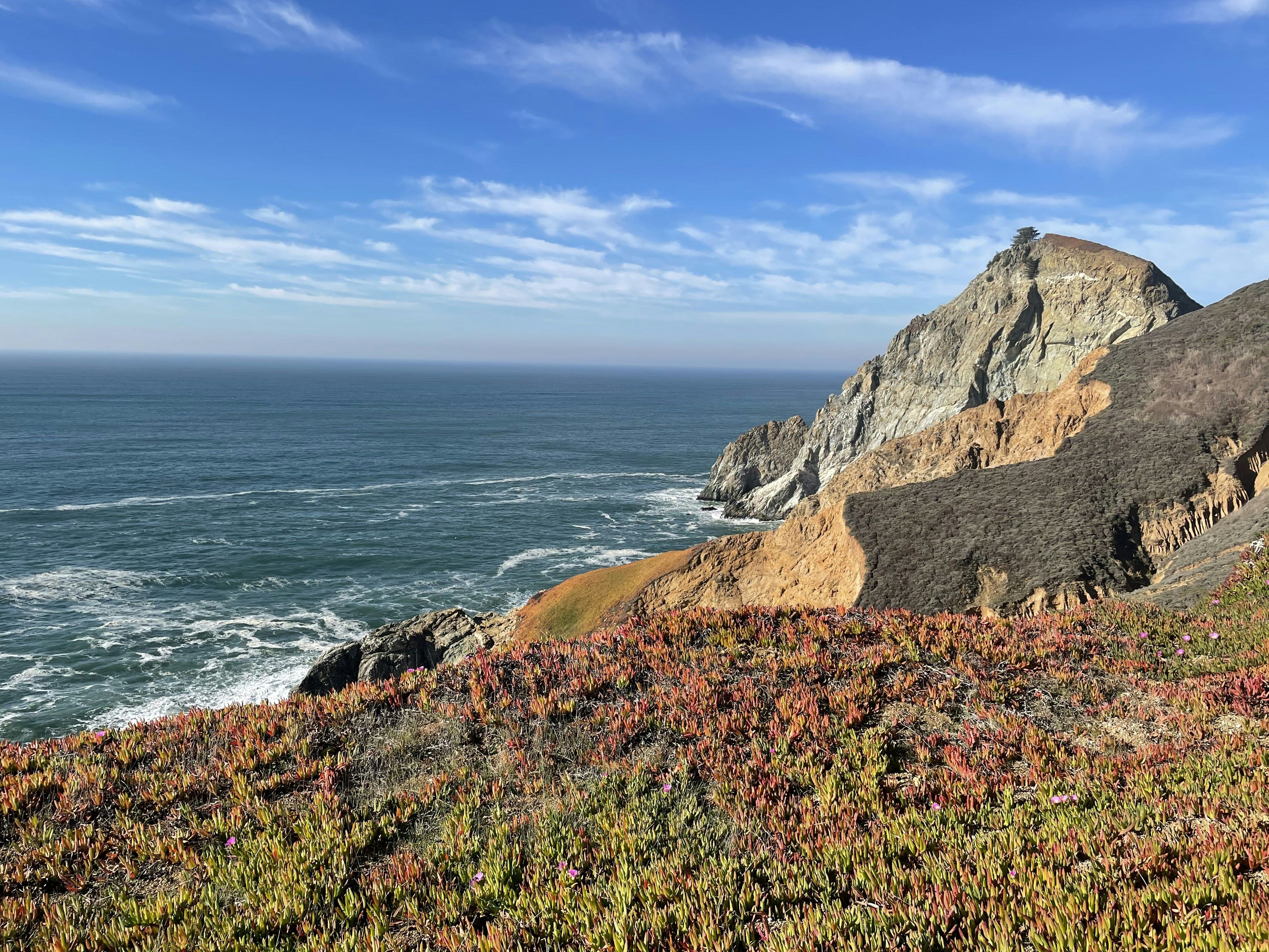 Coastal Symphony of Colors