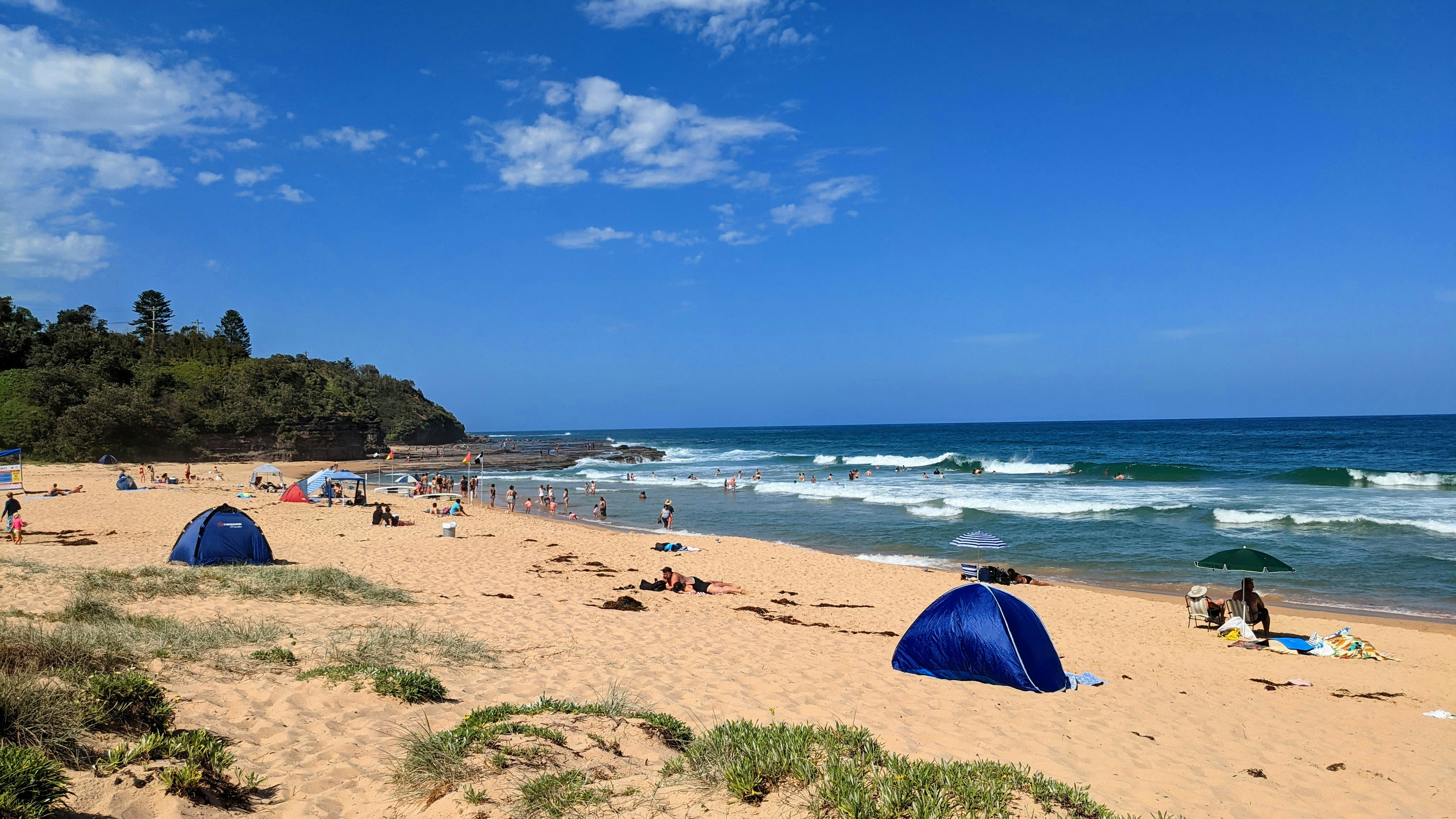 Blue Oasis on a Bustling Beachfront