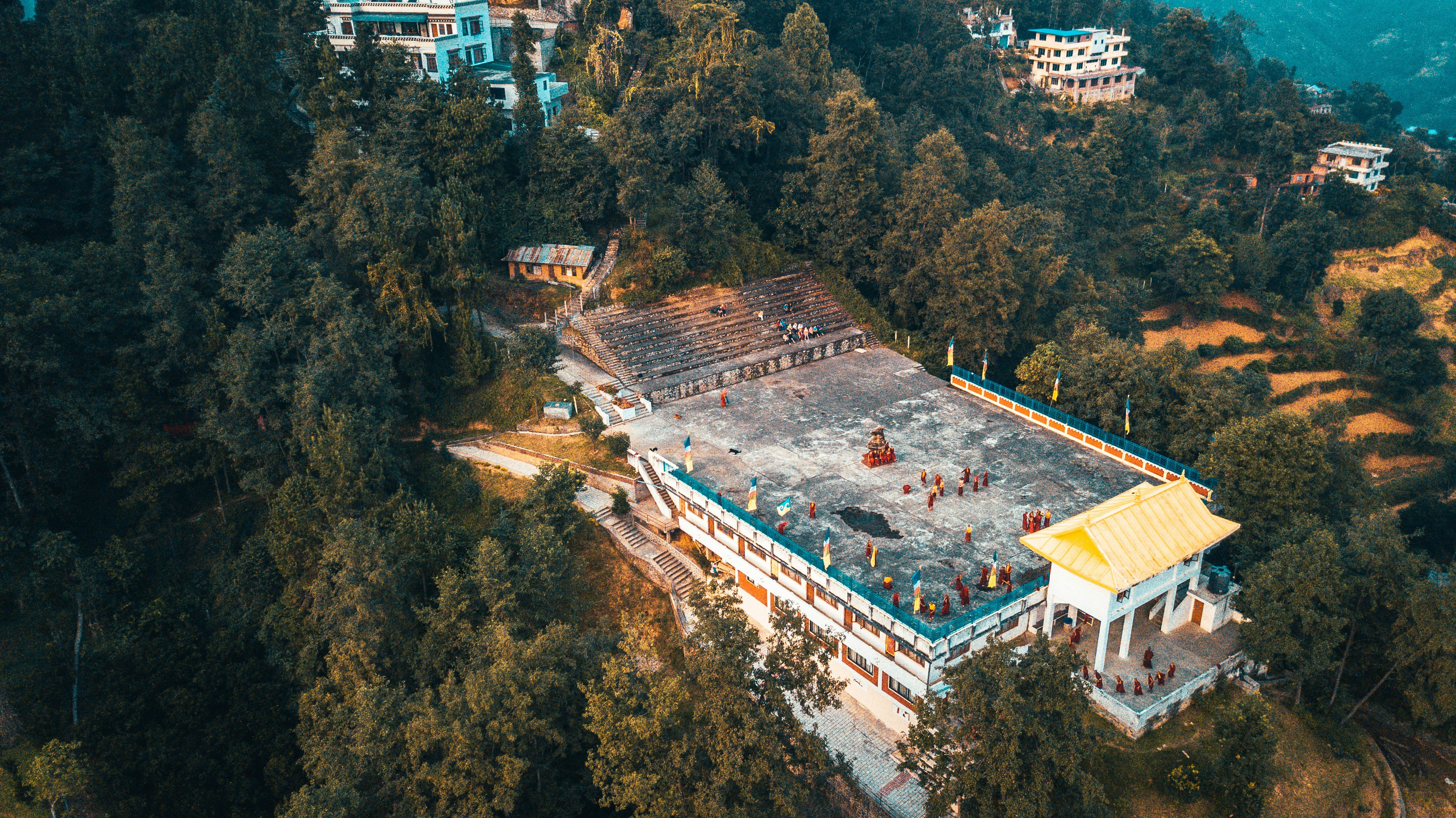Aerial view of green trees and white buildings during daytime photo ...