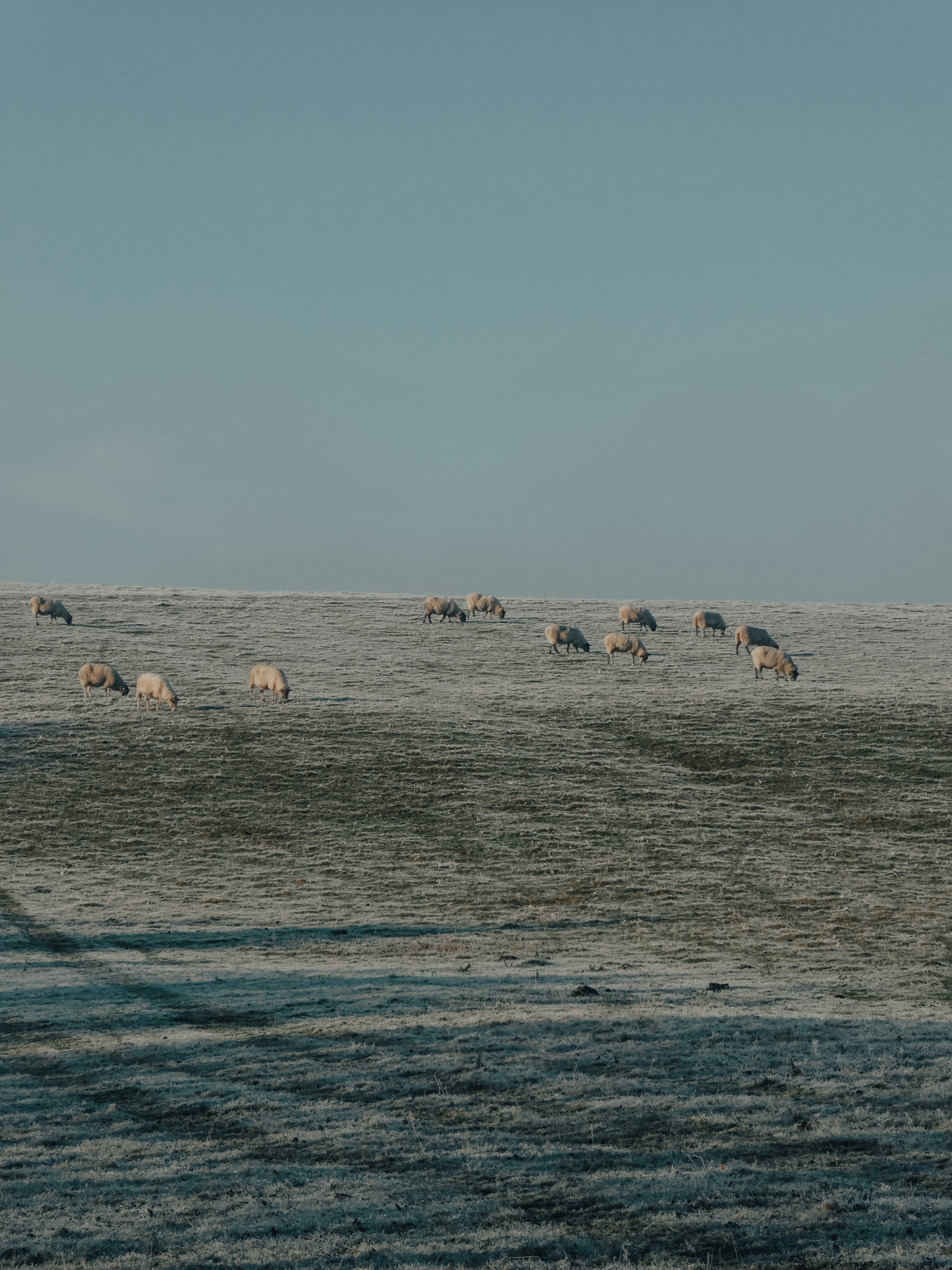 Photo by Hannah Suddaby with Panasonic Lumix TZ60