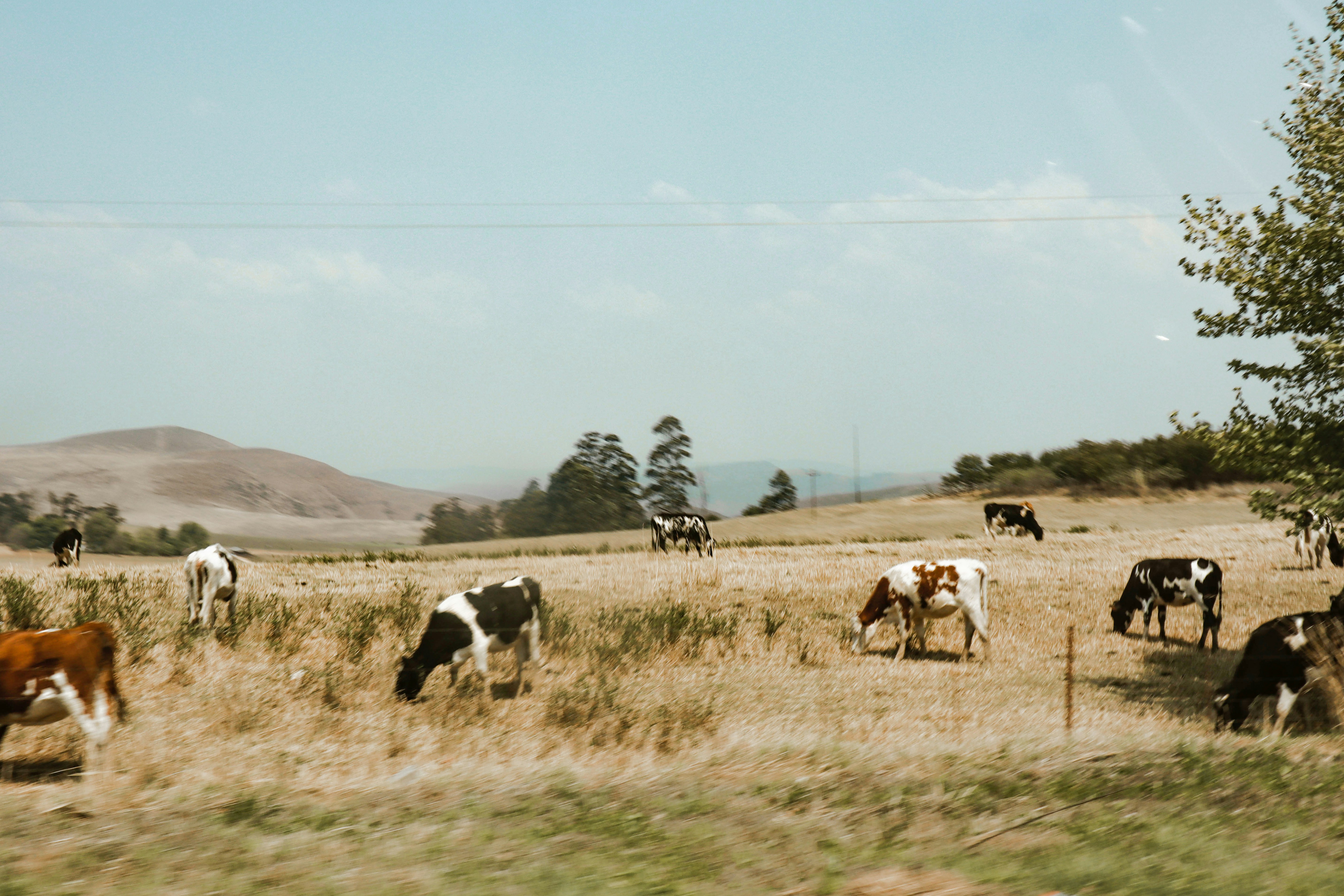 Farm Landscape Pictures | Download Free Images on Unsplash