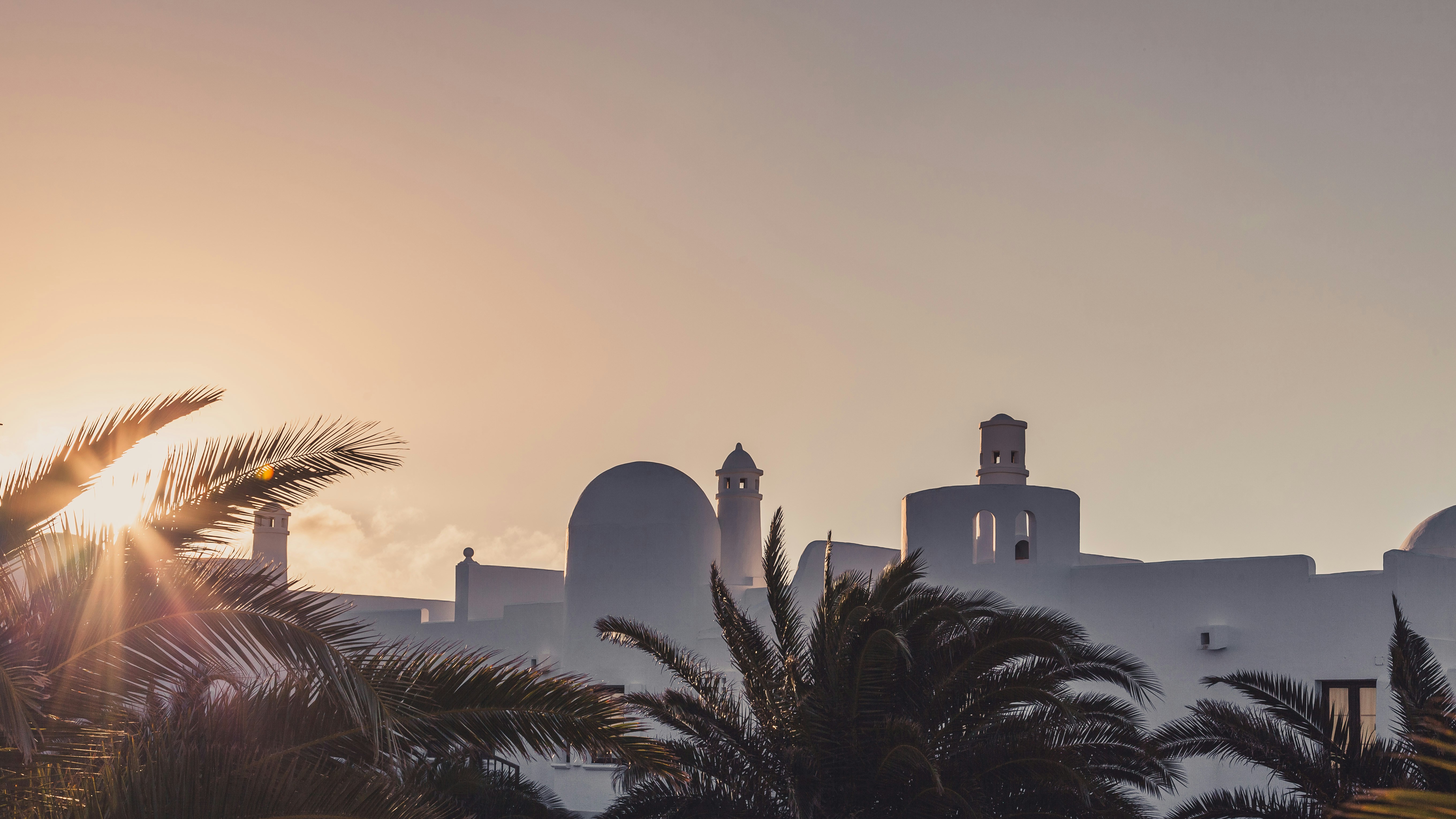 Palm-Framed Dusk Skyline with Dome Silhouettes