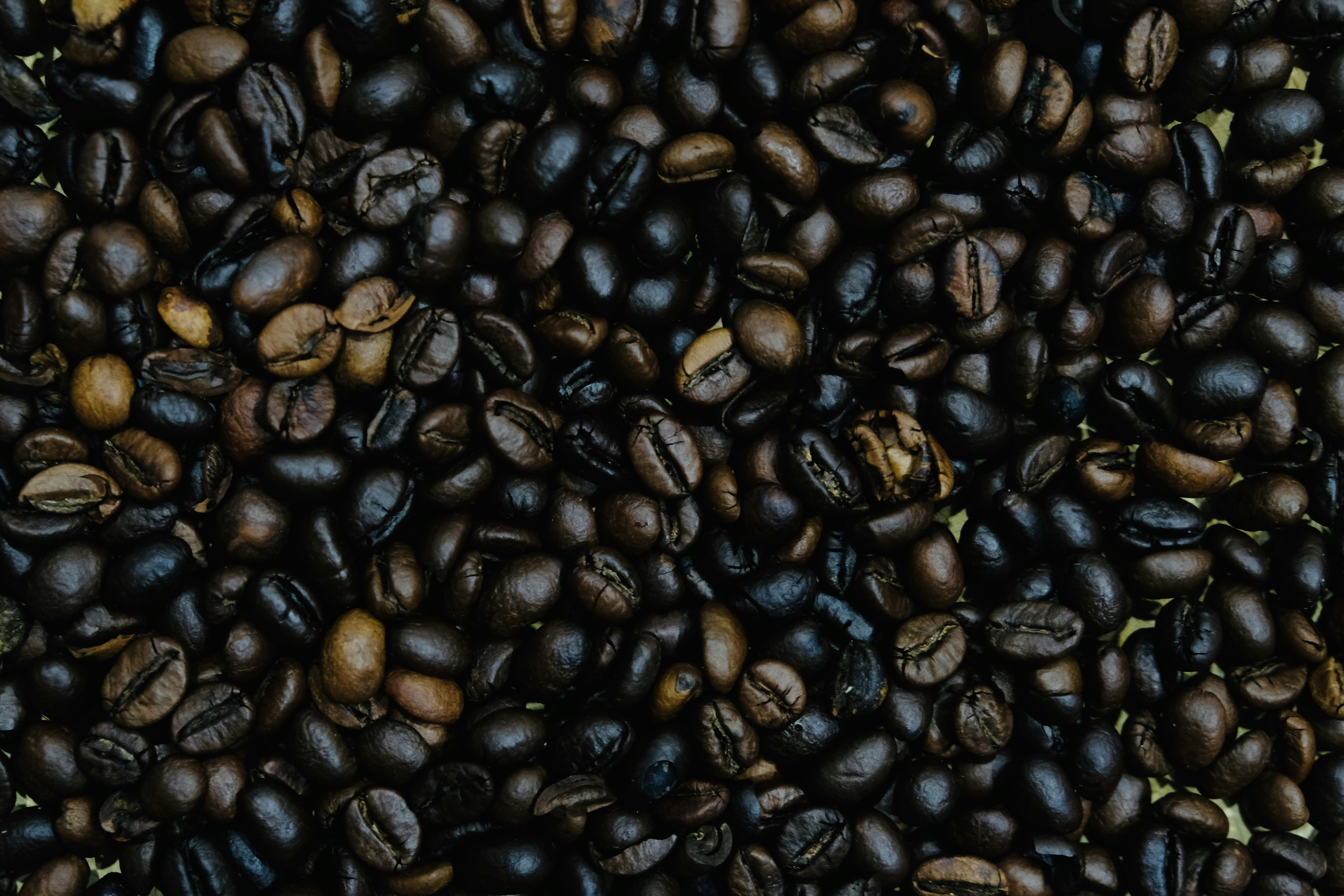A rich assortment of coffee beans in varying shades of brown, showcasing their unique textures and forms.