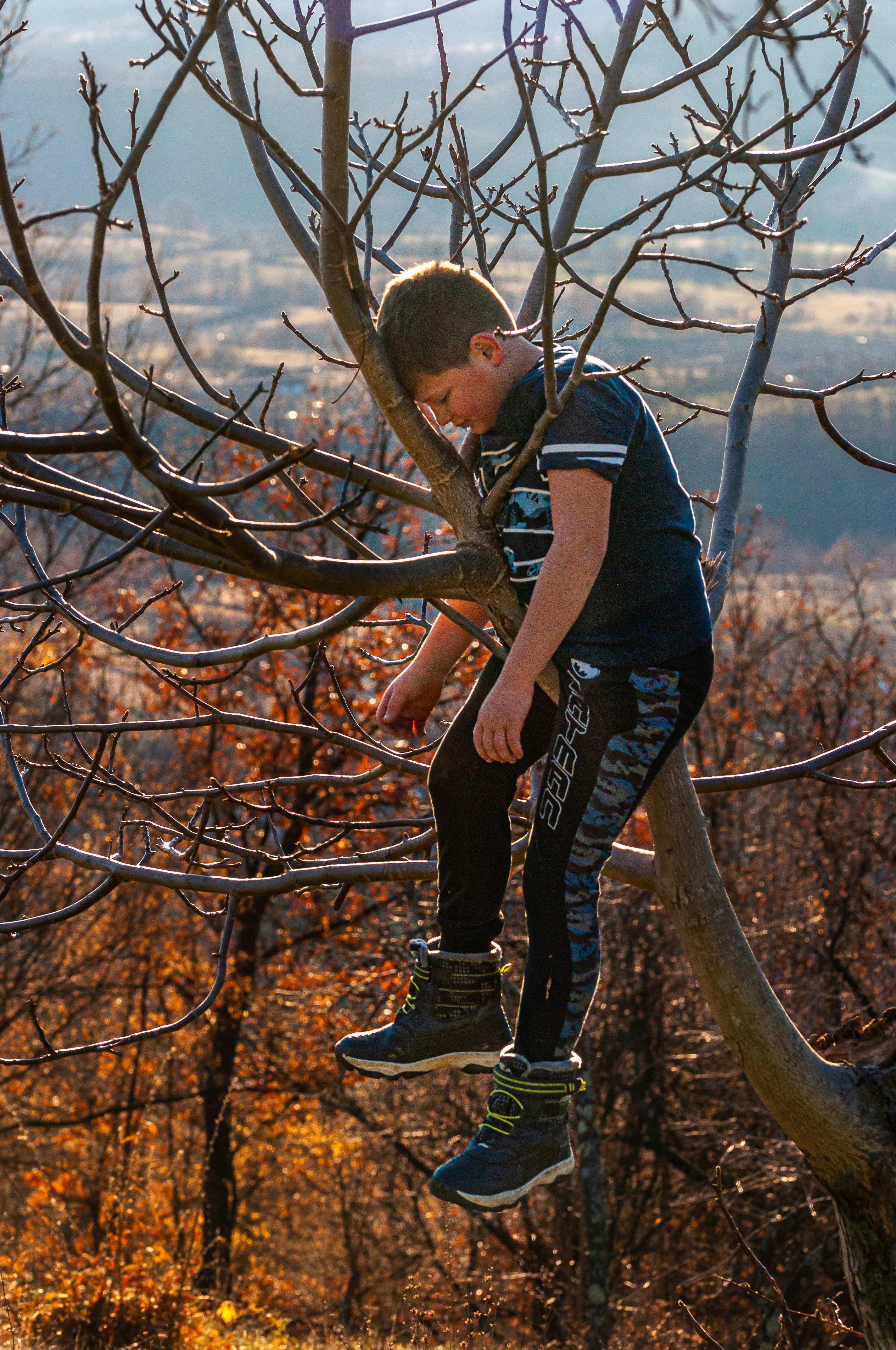 boy in blue and black t-shirt and black pants climbing on brown tree during daytime