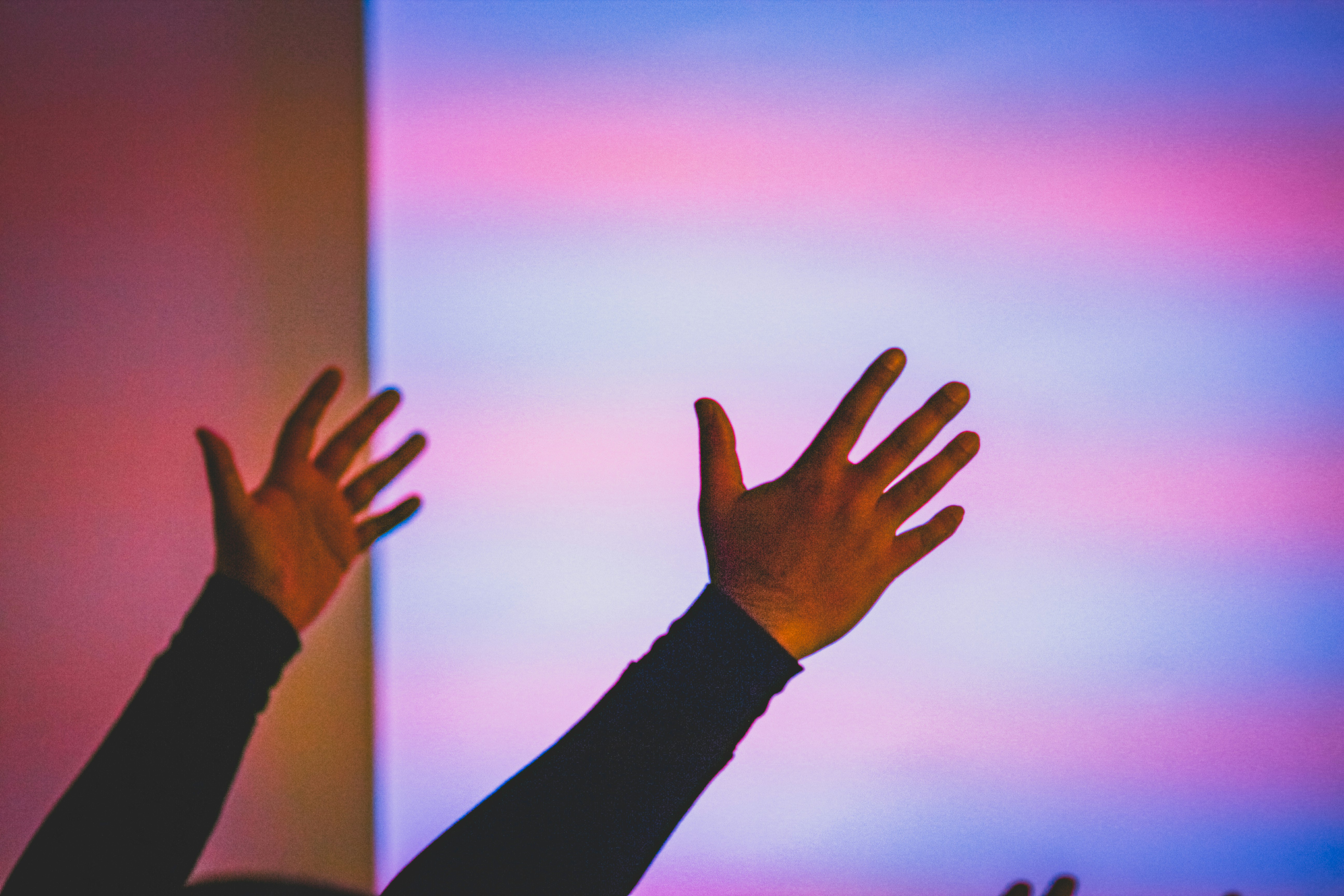 Person in black long sleeve shirt raising right hand photo – Free Human ...