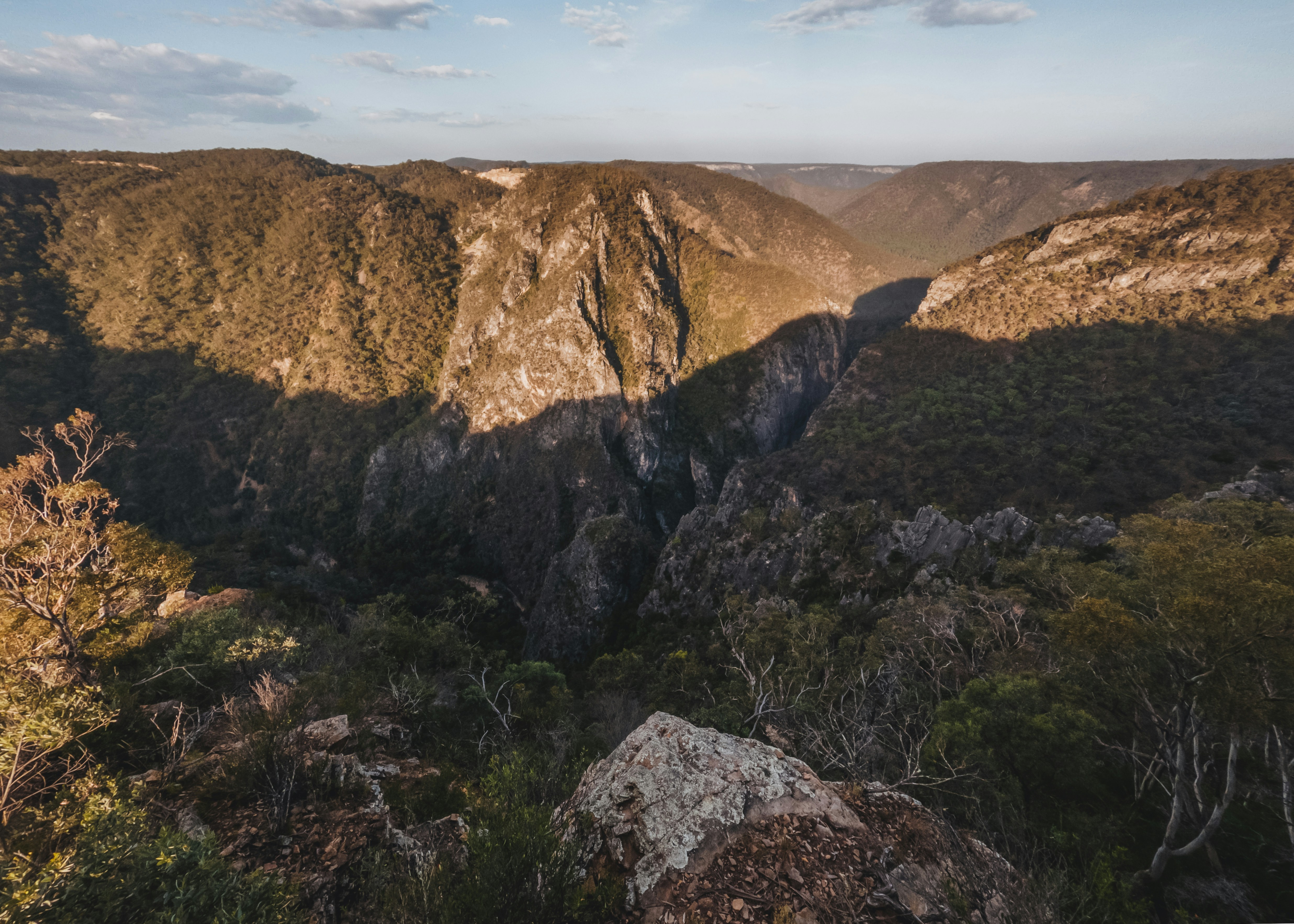 Sunlit canyon overlook with rugged cliffs and a shadowed gorge stretching into the distance, framed by sparse trees in the foreground.