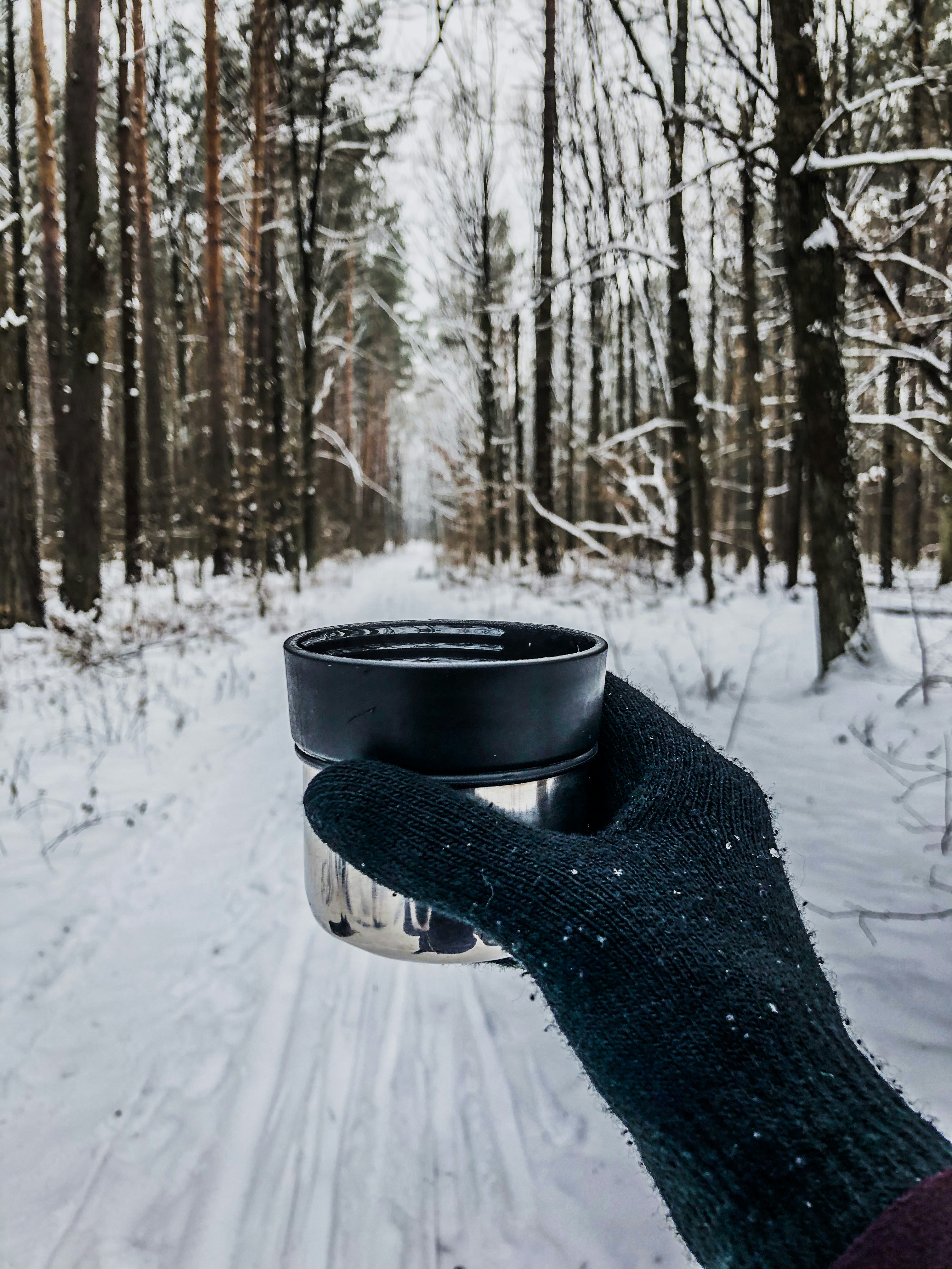 Gloved hand holding a steaming thermos amidst a snowy forest trail, with snowflakes gently falling around. 