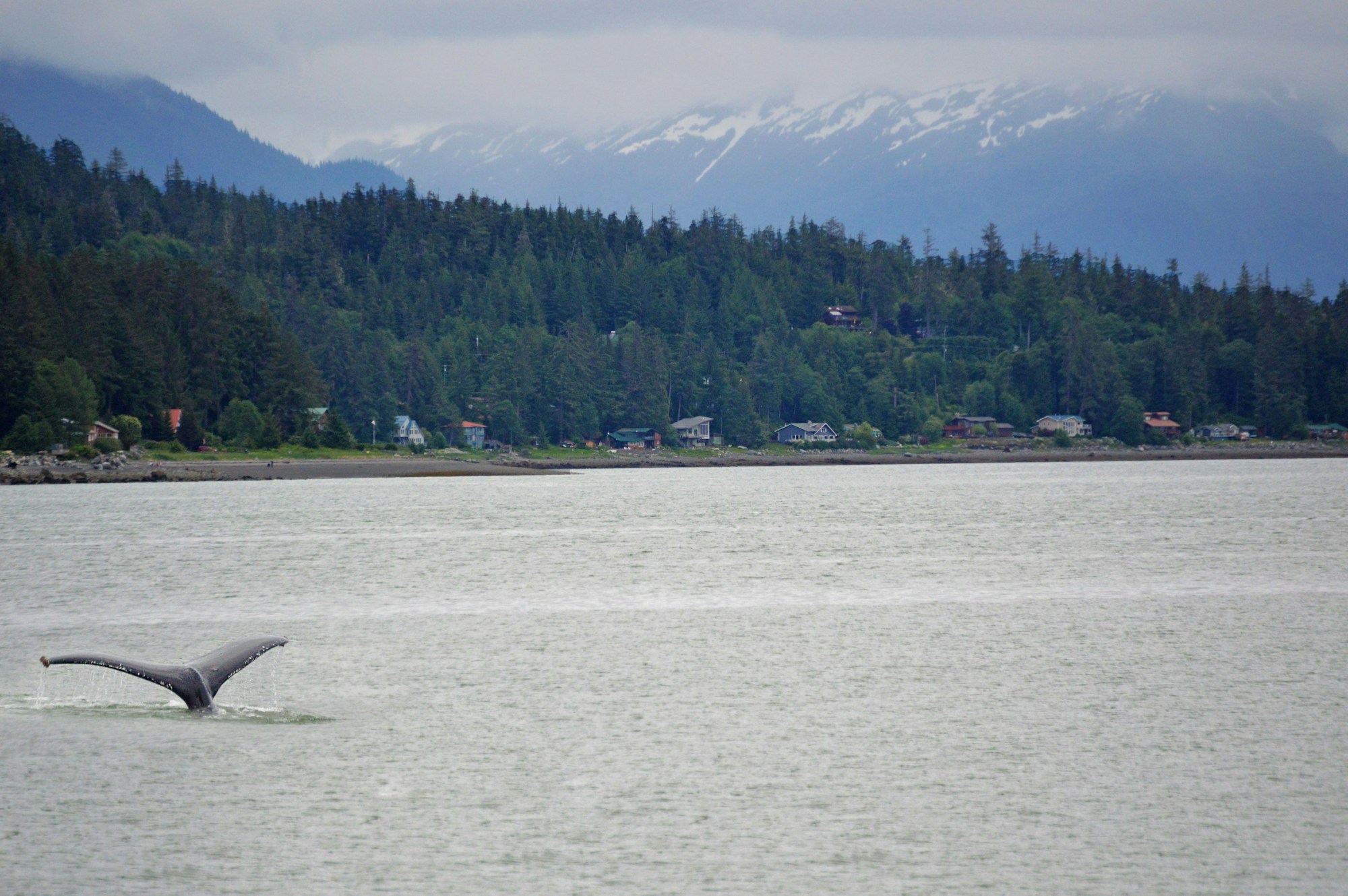 Exploring Juneau: A Comprehensive Travel Guide Exploring Juneau: A Comprehensive Travel Guide