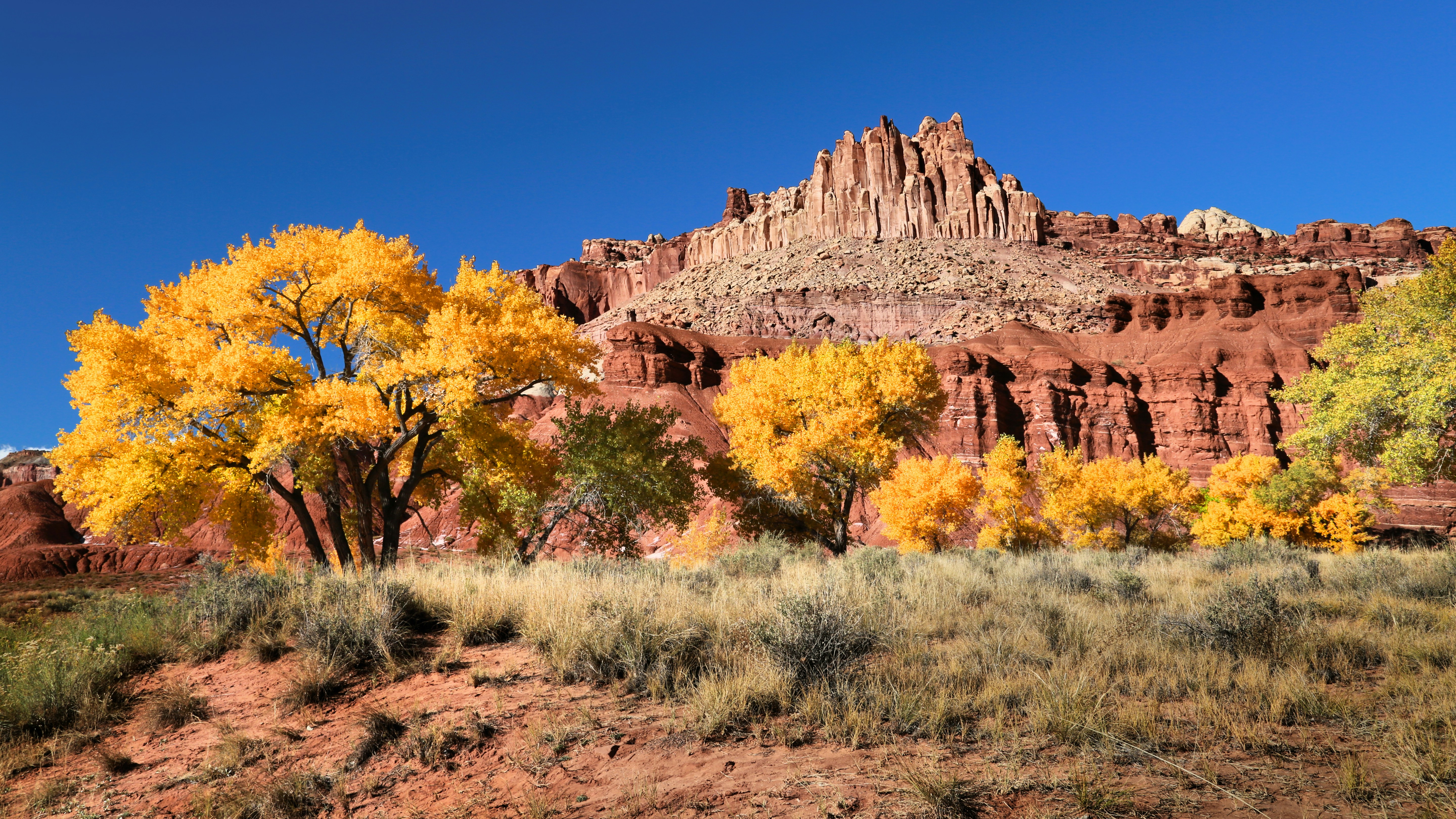 Autumn high desert color