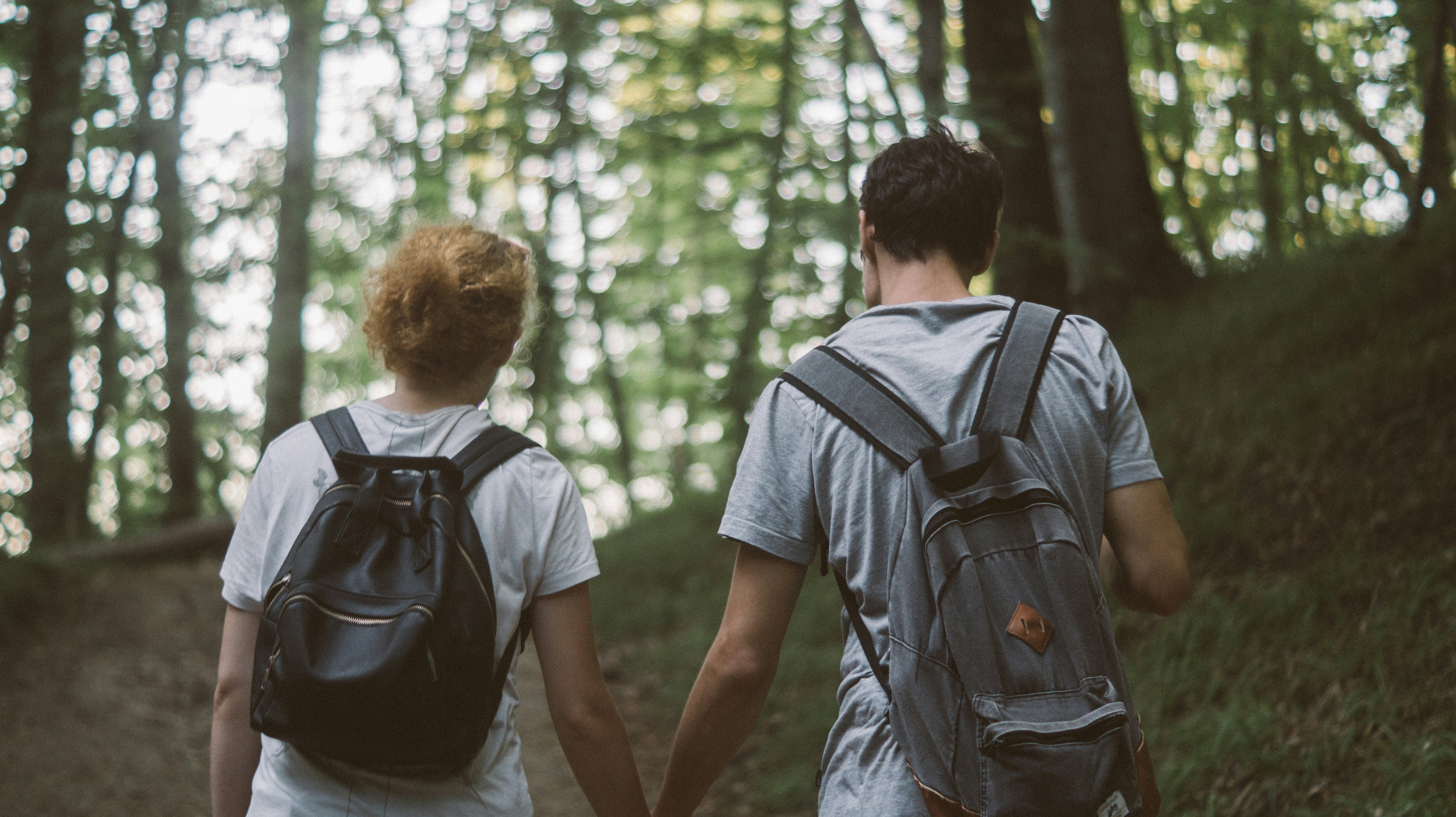 Two hikers walking hand-in-hand along a forest path, surrounded by lush greenery and dappled sunlight.
