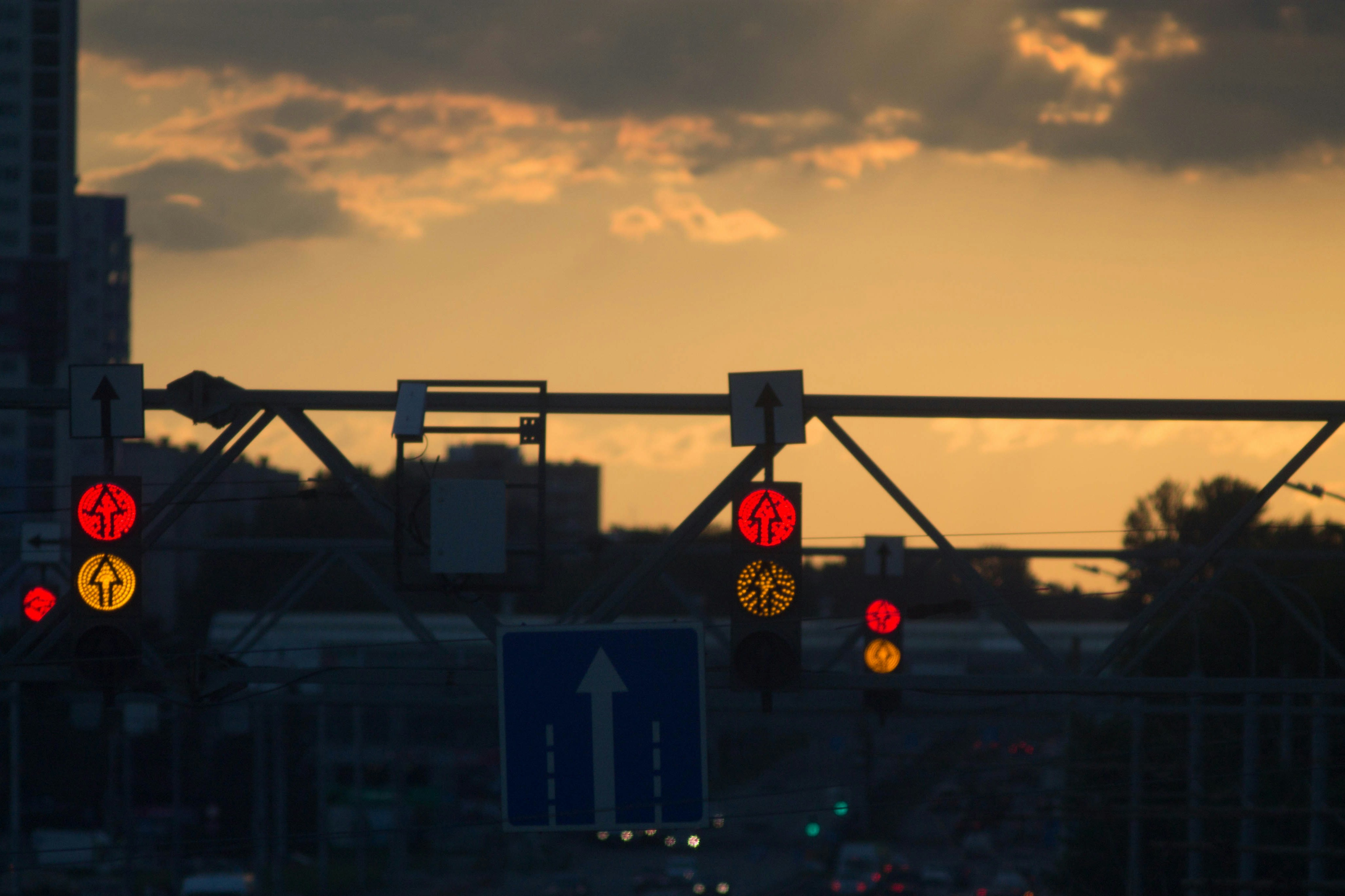 Stop light sign on gray concrete road photo – Free Россия Image on Unsplash