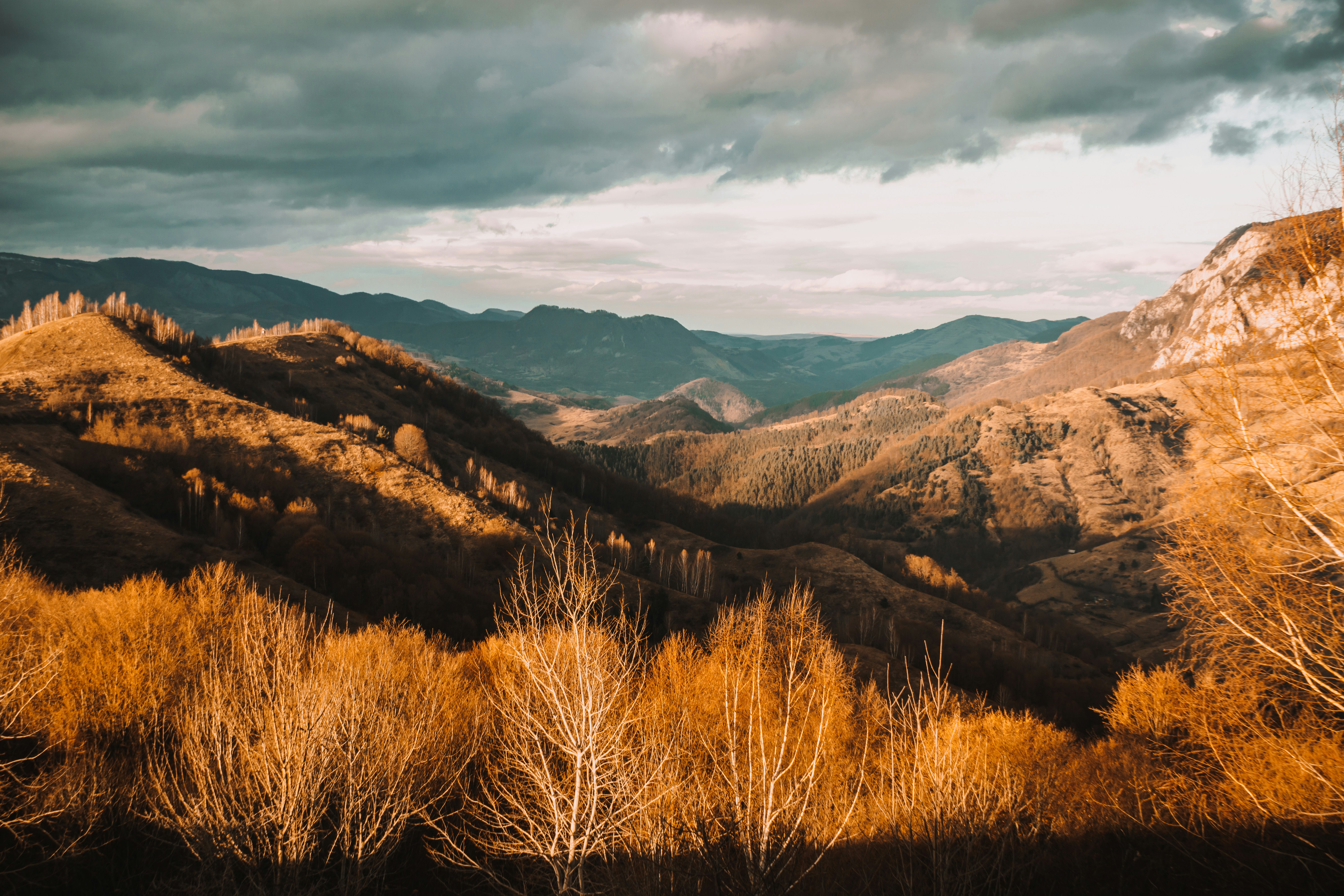 Golden-hued trees blanket rolling hills under a dramatic sky, showcasing the beauty of autumn in the mountains.