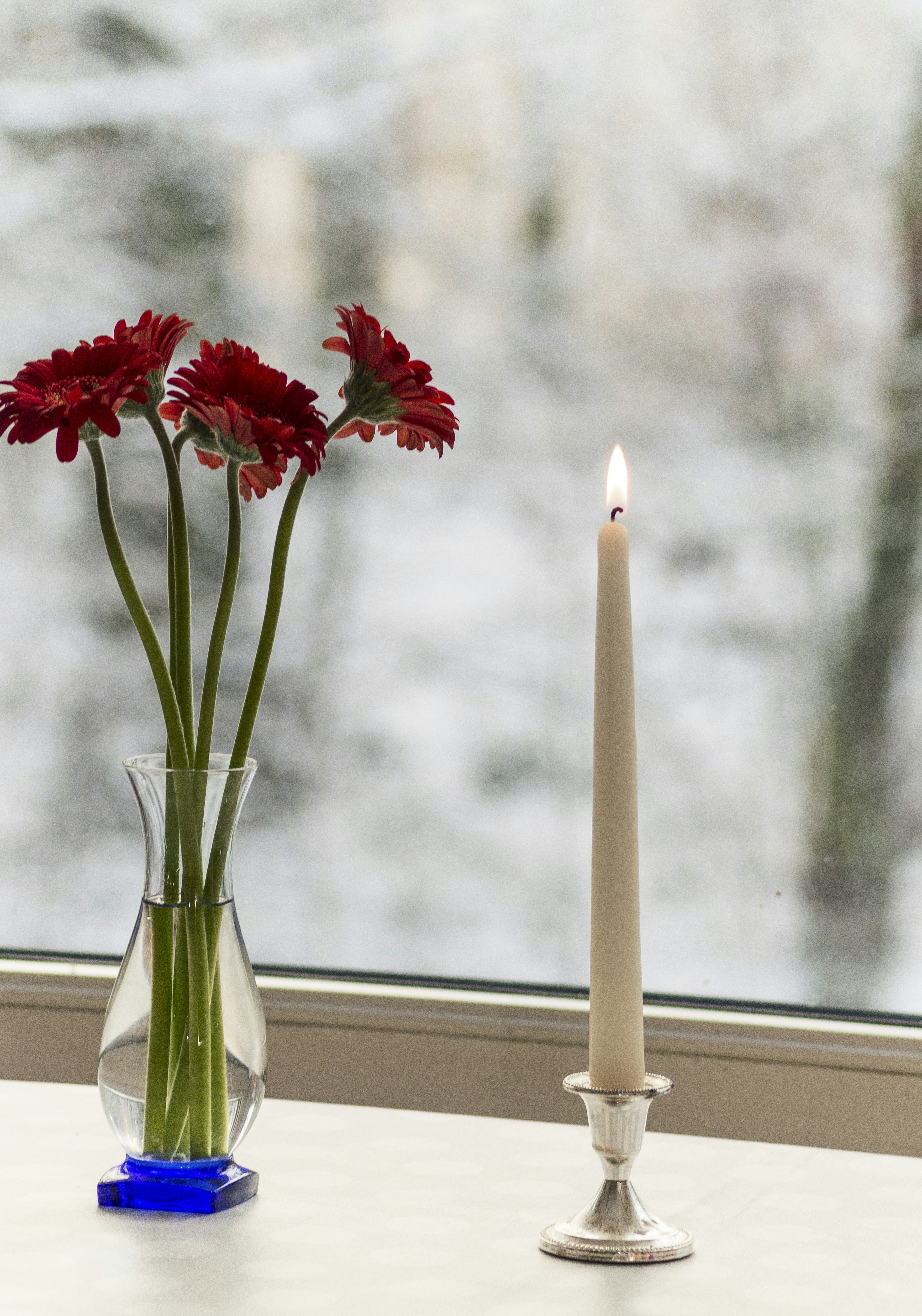 red roses in glass vase