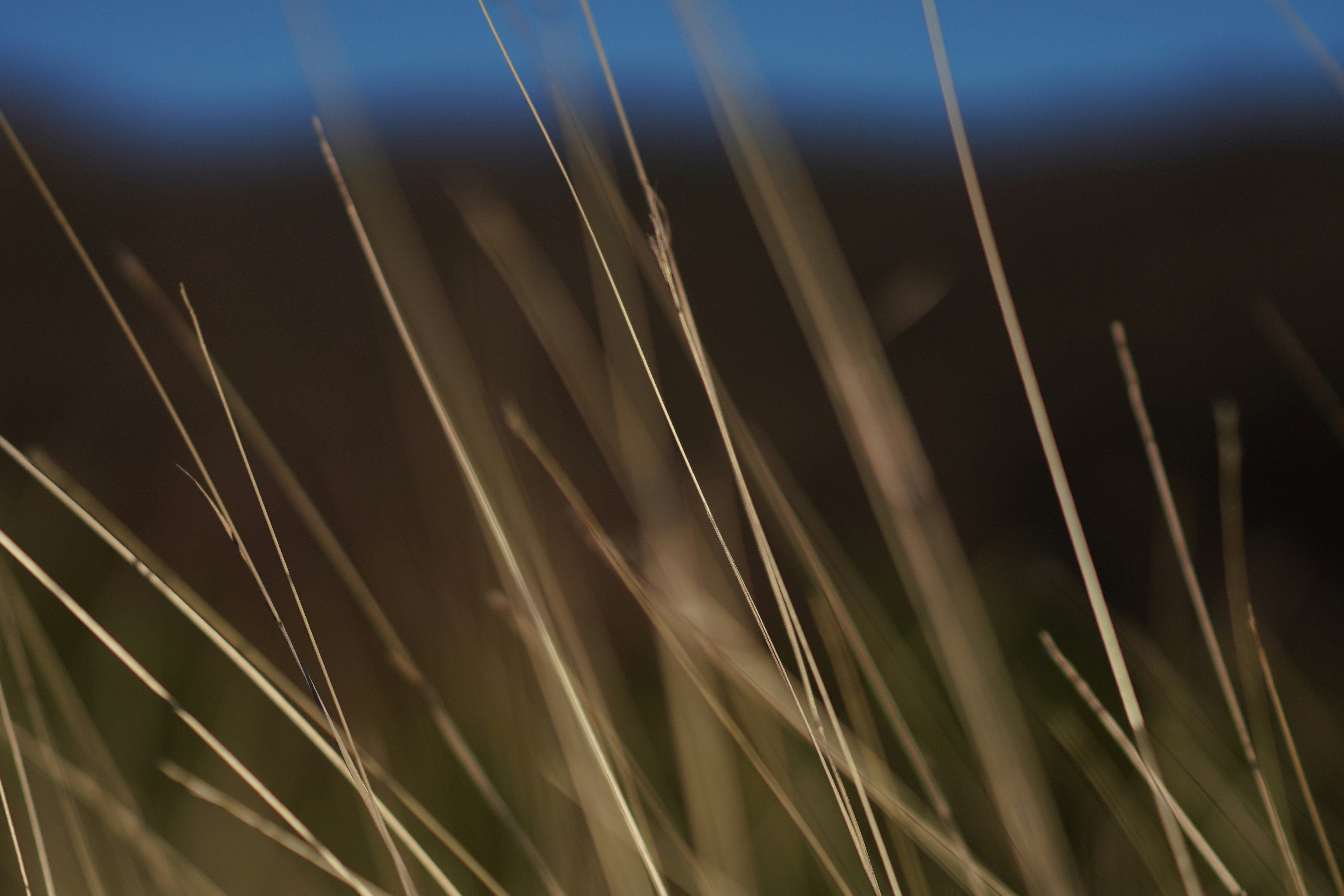 45,628+ Turf Pictures | Download Free Images on Unsplash