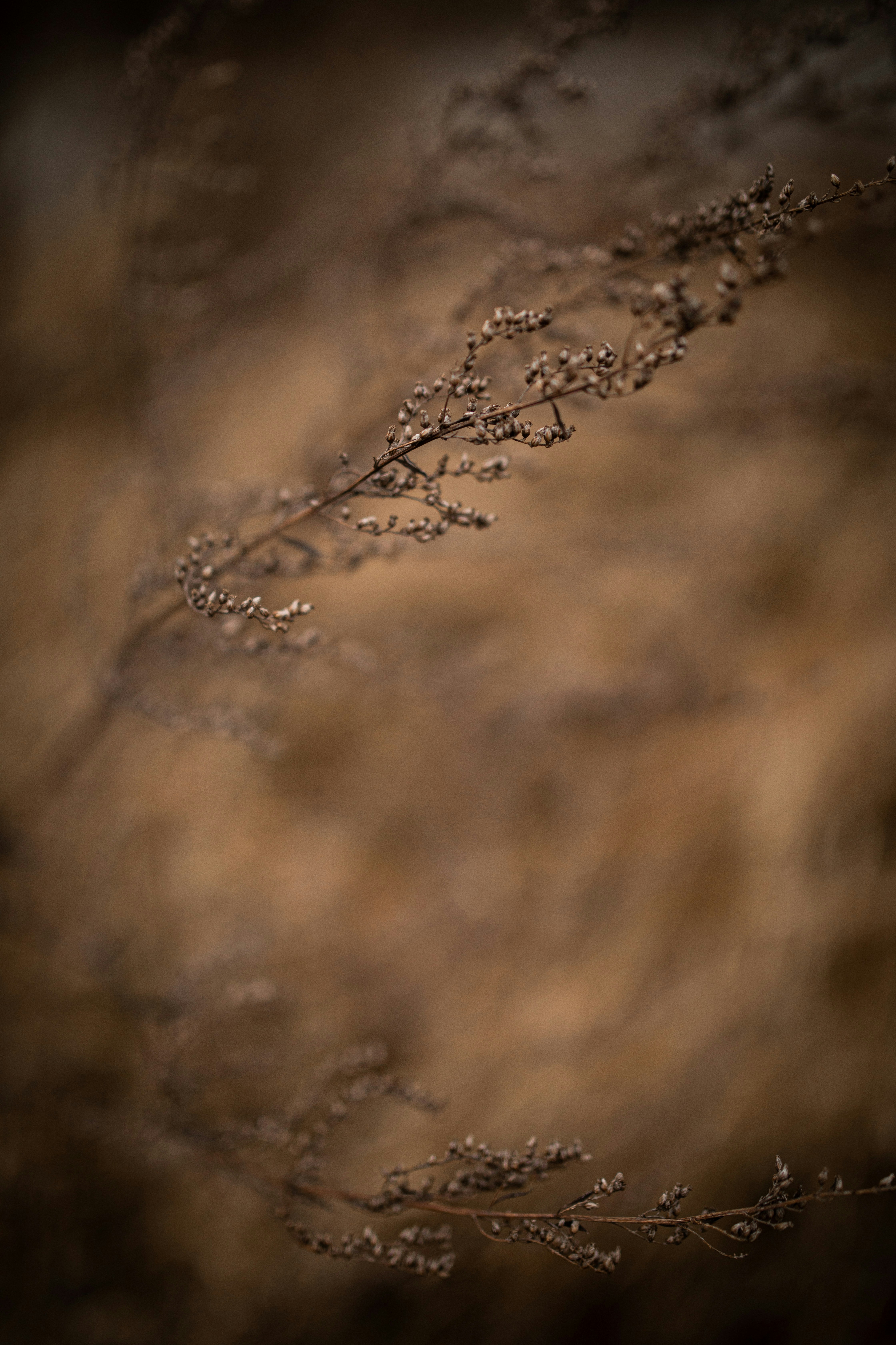 Photo by Kaja Reichardt with Canon EOS 5D Mark IV