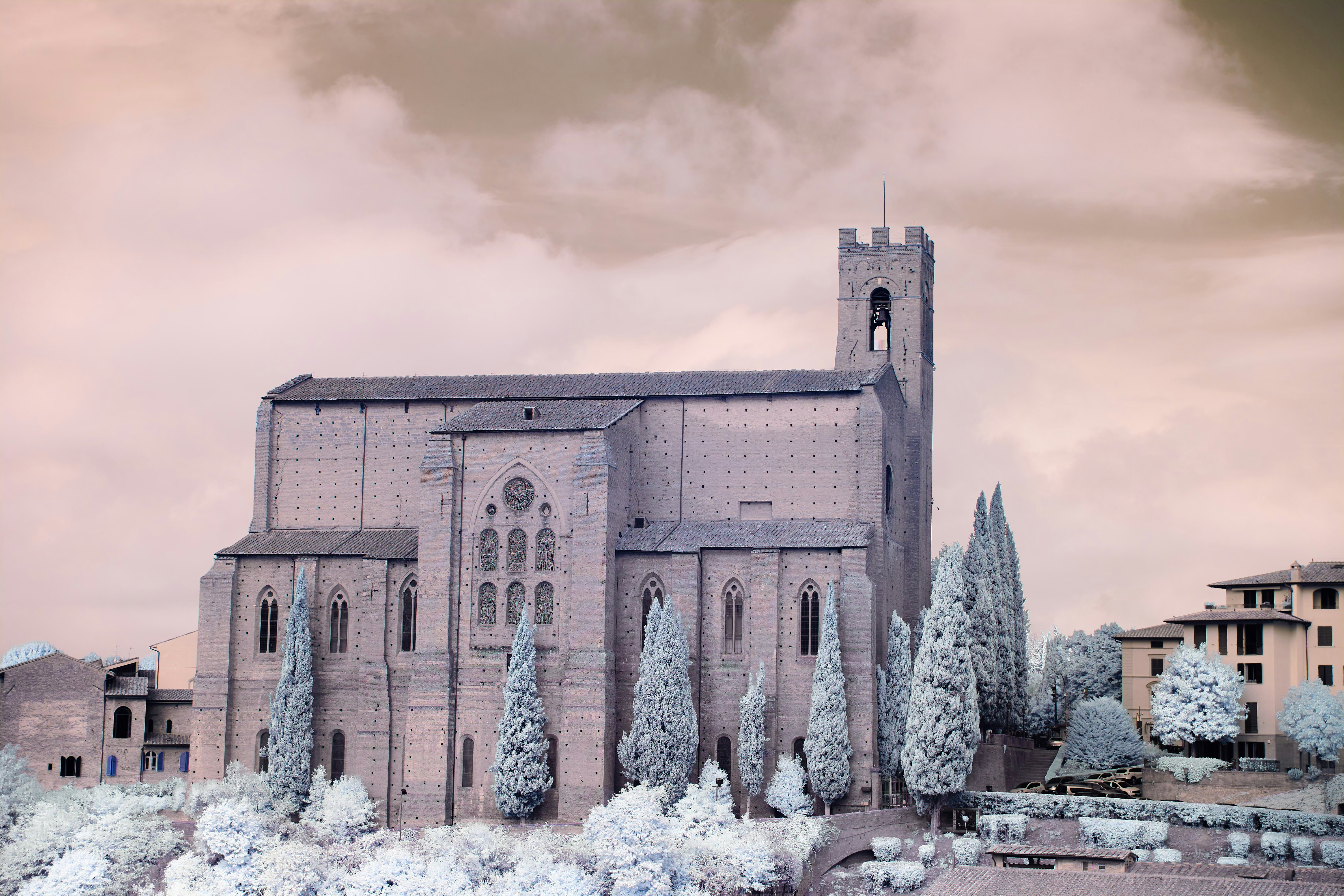 brown concrete building with snow covered trees during daytime