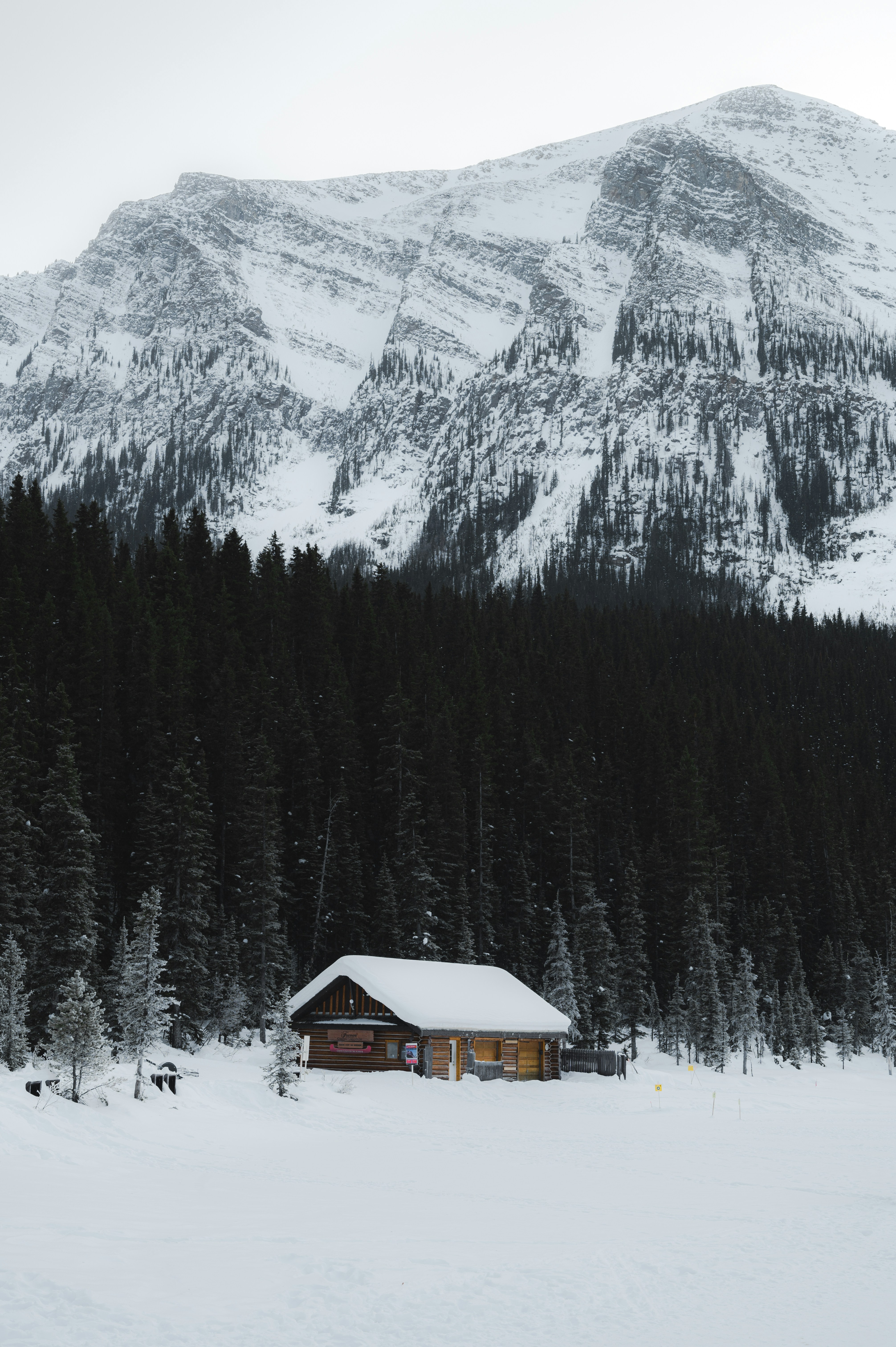 A rustic cabin nestled in a snowy landscape, surrounded by towering evergreen trees and majestic mountains. The serene scene captures the essence of winter tranquility.
