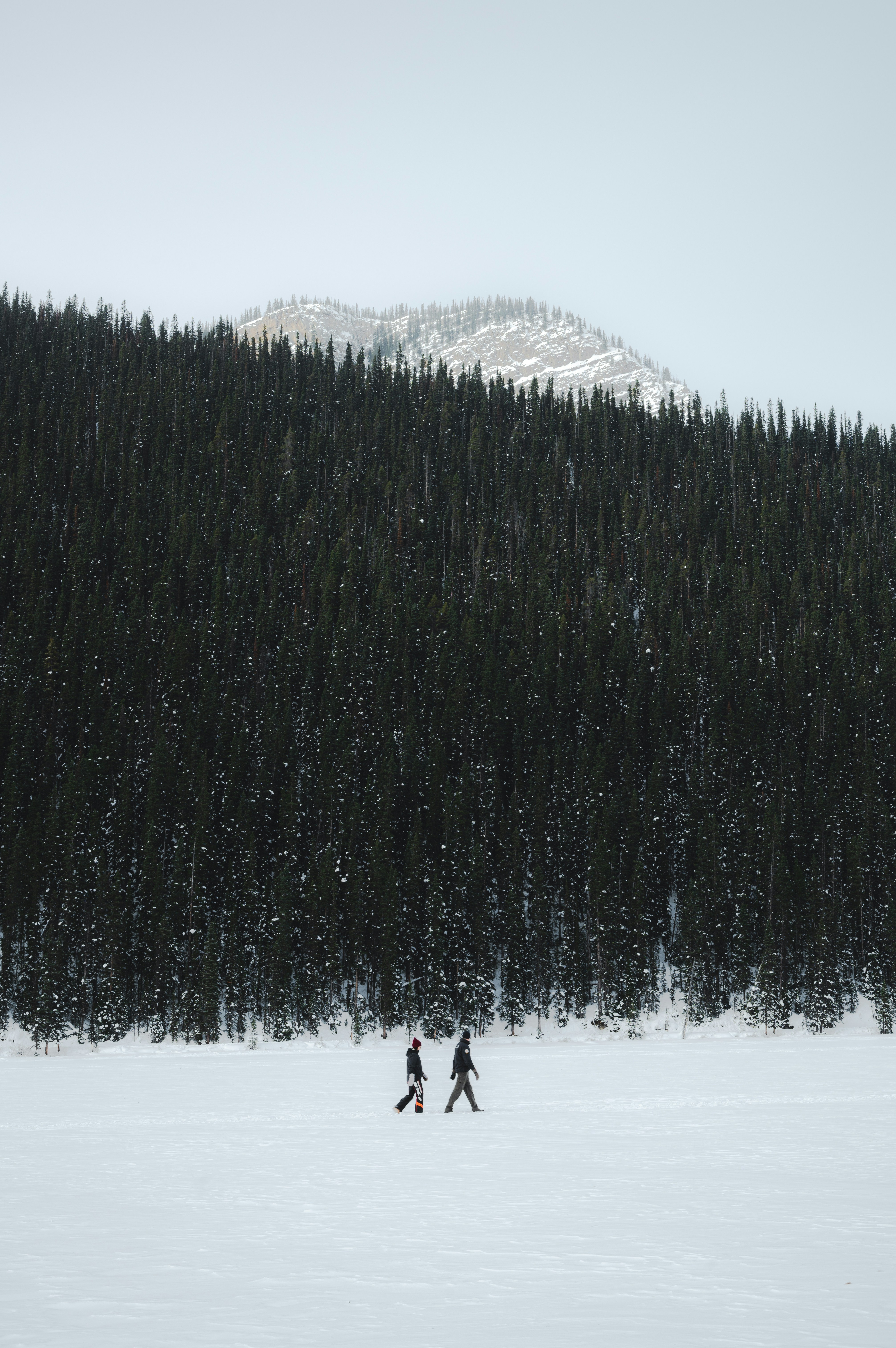 Snowbound Escape: Twin Figures Trek Across a Frosted Plain