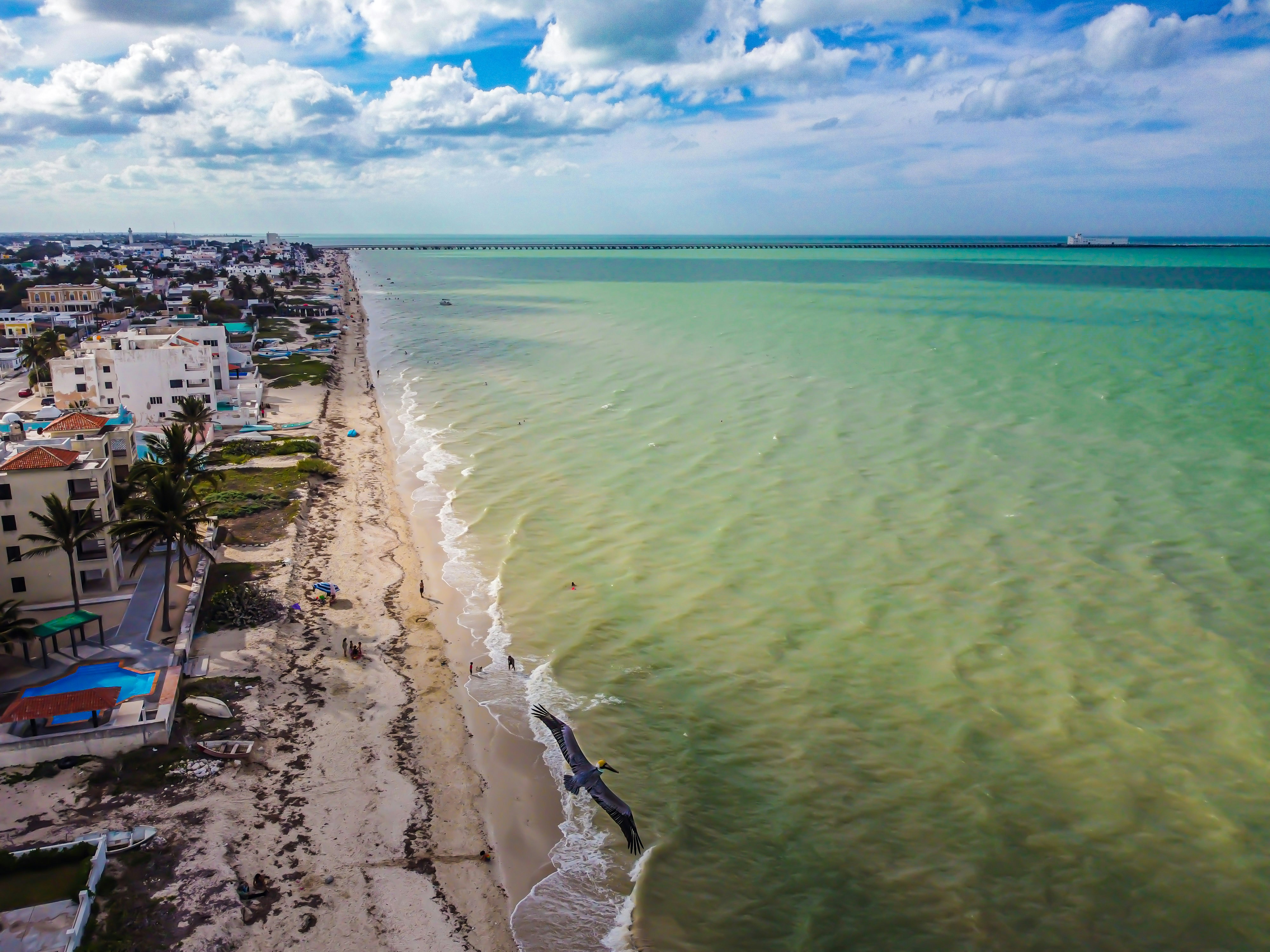 Aerial view of beach during daytime photo – Free Playa puerto progreso ...
