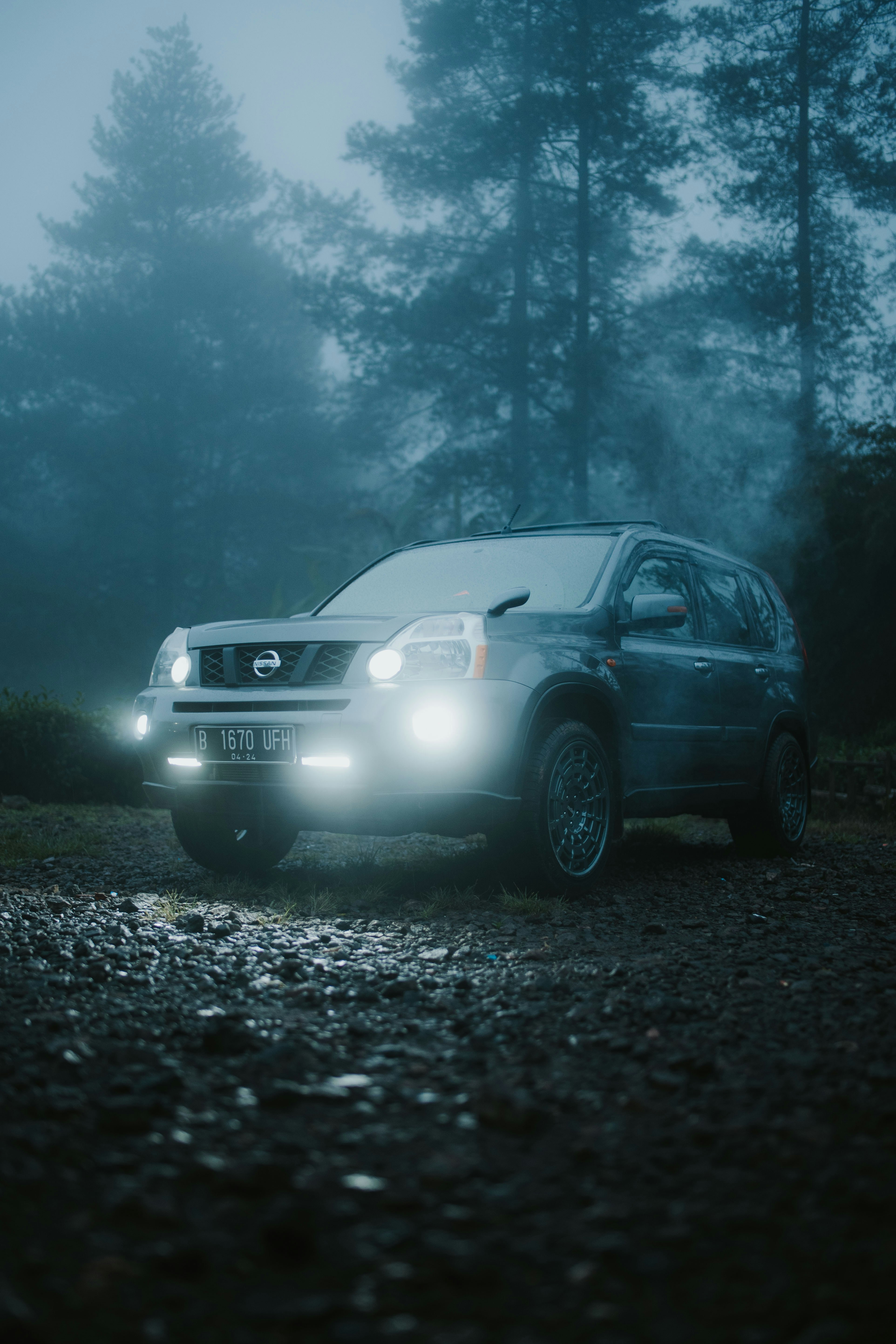 Forest Road At Night Pictures | Download Free Images on Unsplash