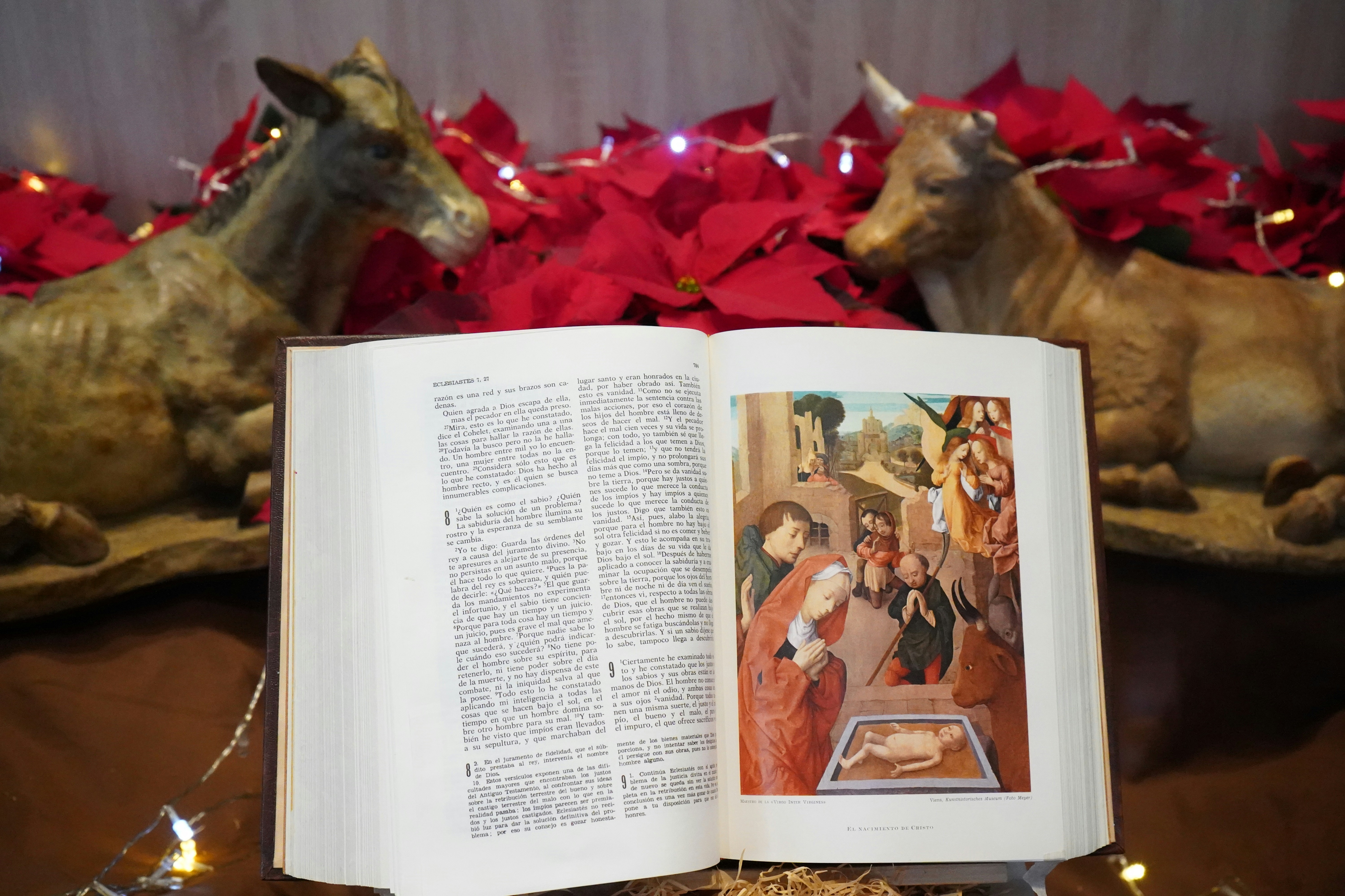 Pages Alight: A Tiny Painting Revealed Beneath Christmas Lights