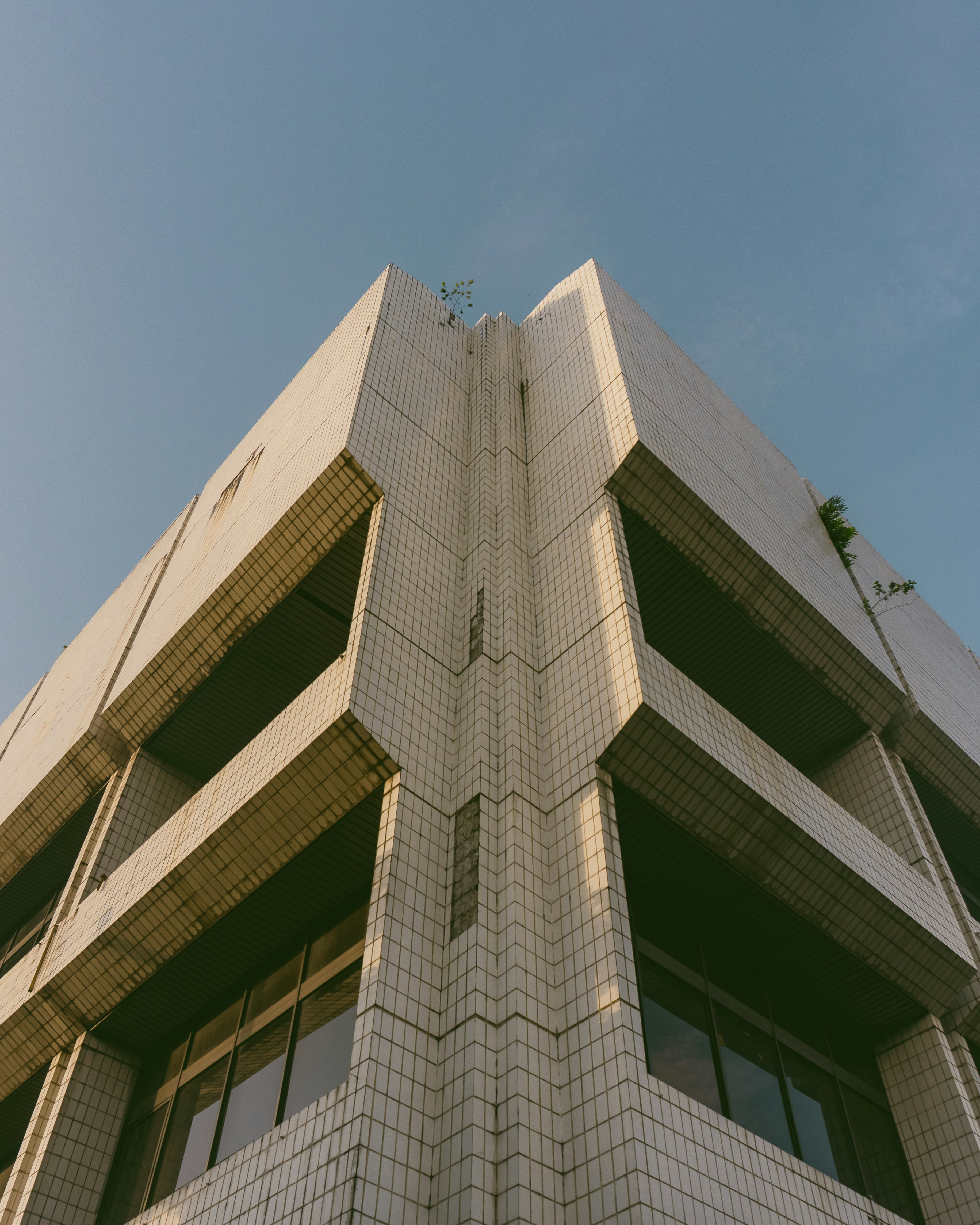 Abstract view of a modern building's facade, showcasing geometric patterns and greenery emerging from the structure.