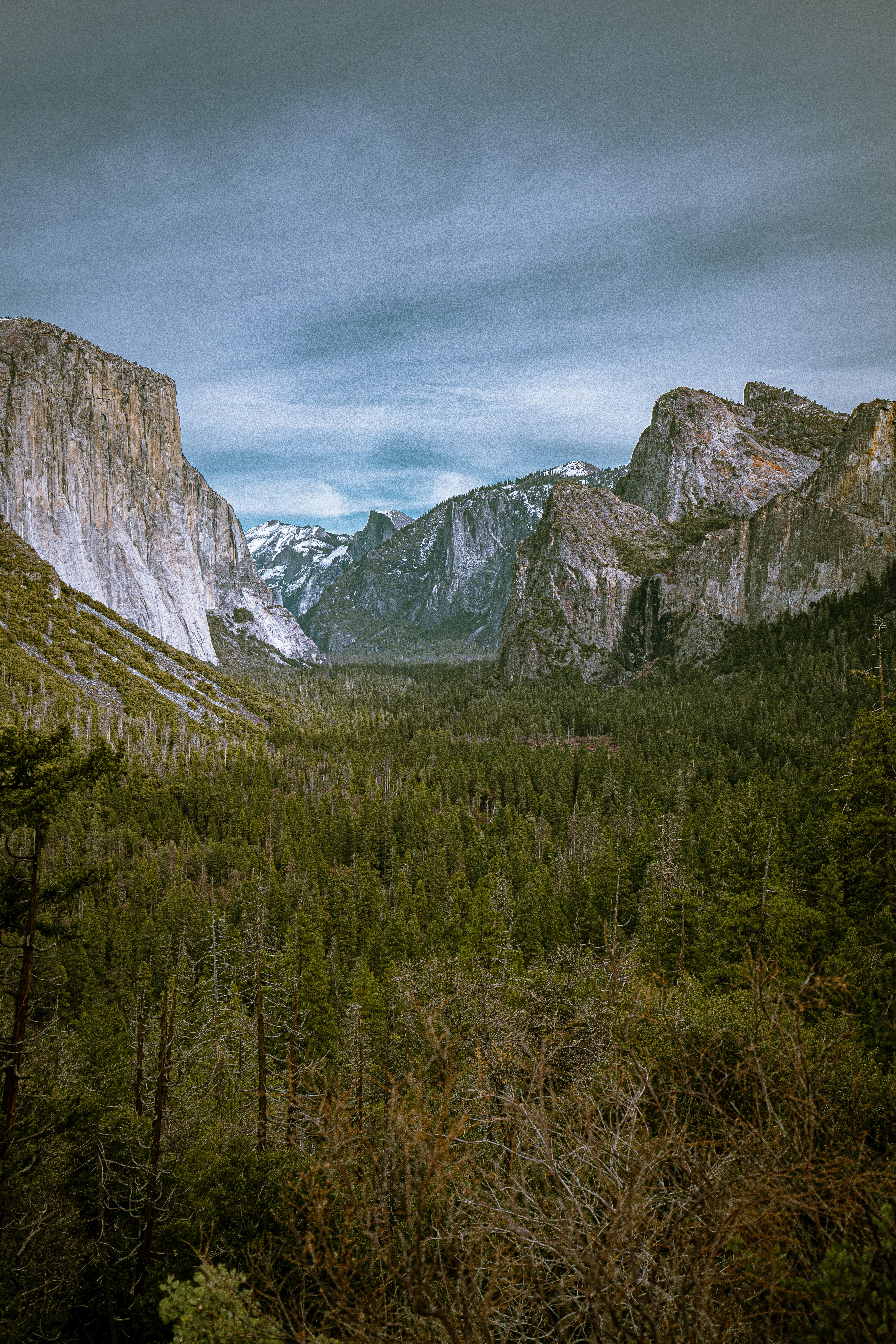 Between Granite Giants: A Pine-Carpeted Valley Unfolds Under Snow-Capped Peaks
