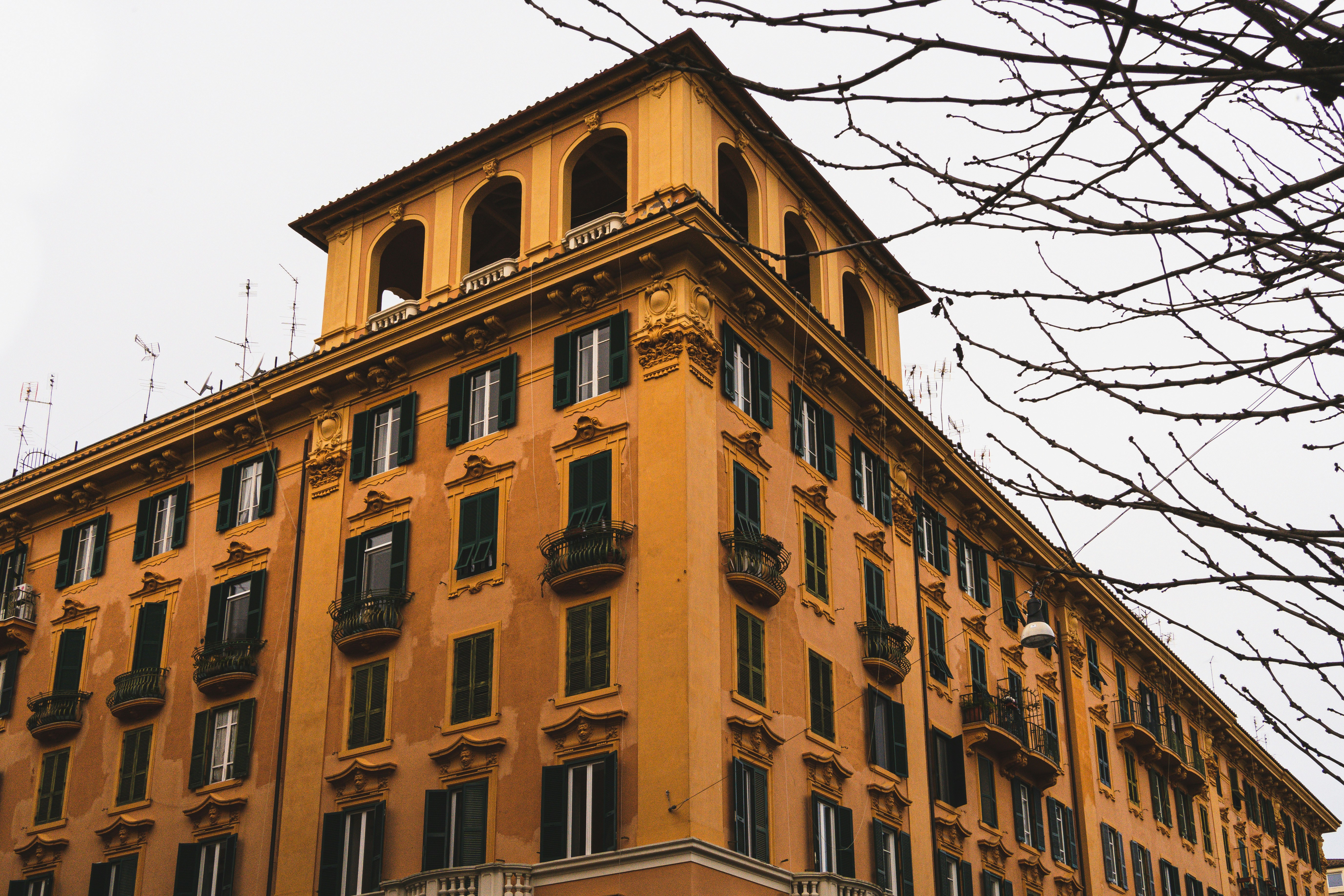 Elegant yellow building with green shutters and intricate details, framed by bare branches, showcasing urban charm.