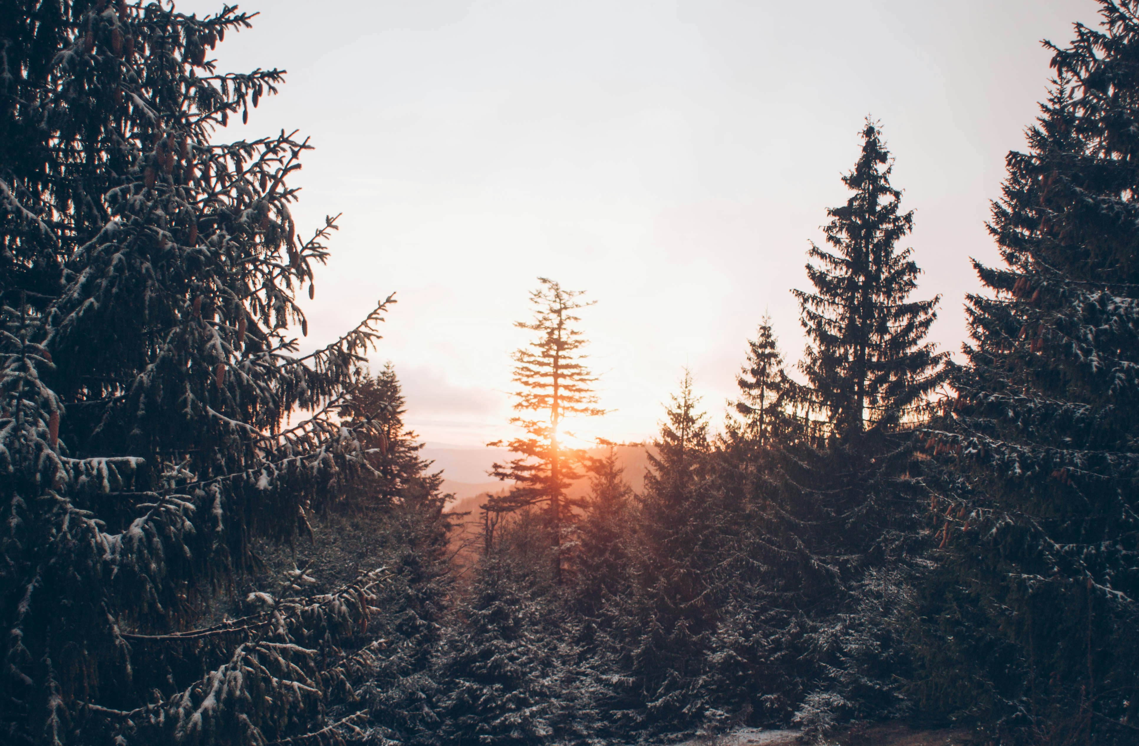 A Christmas Tale of the Future - Dive In Dig Deep