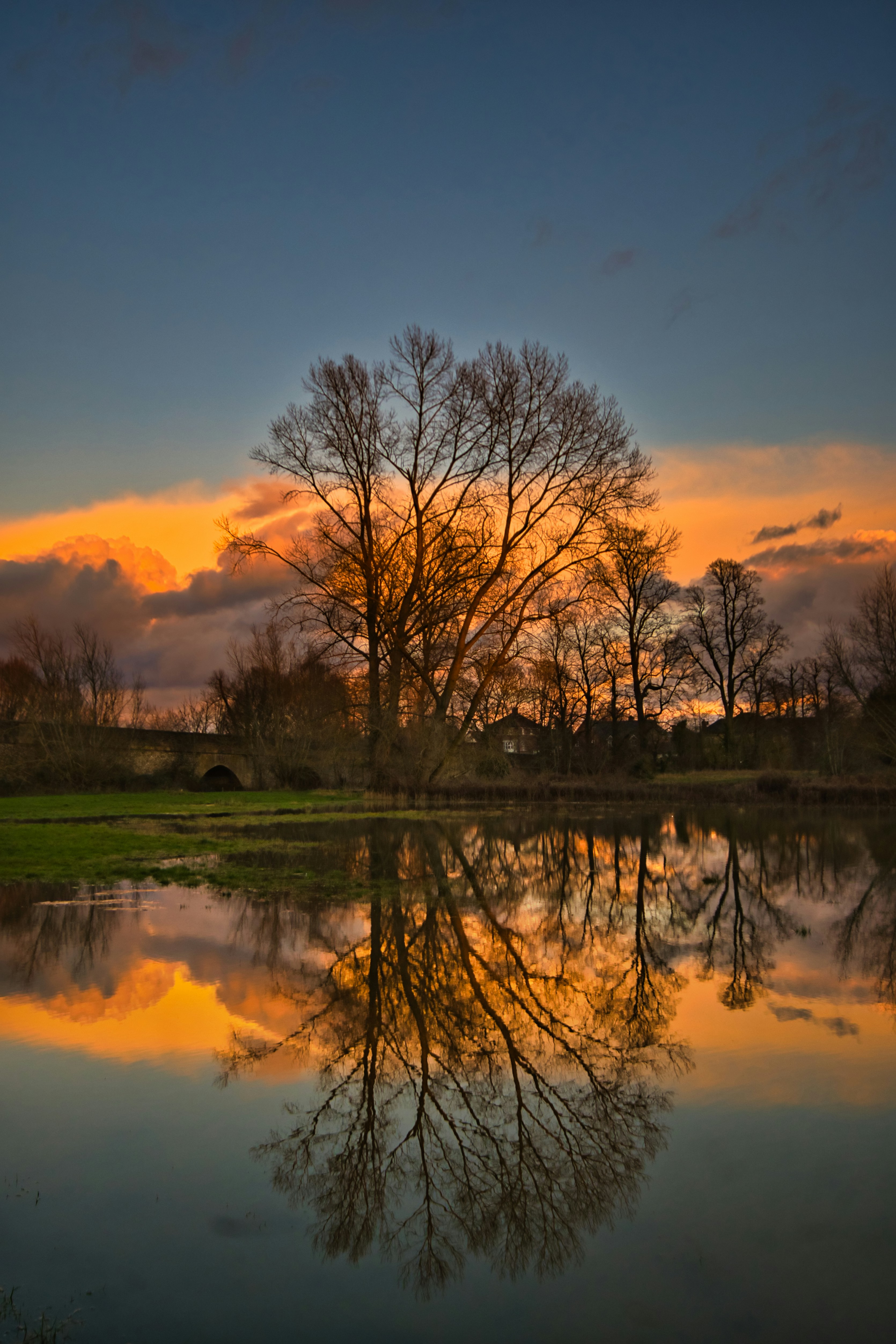 Brown trees beside body of water during sunset photo – Free Wallingford ...