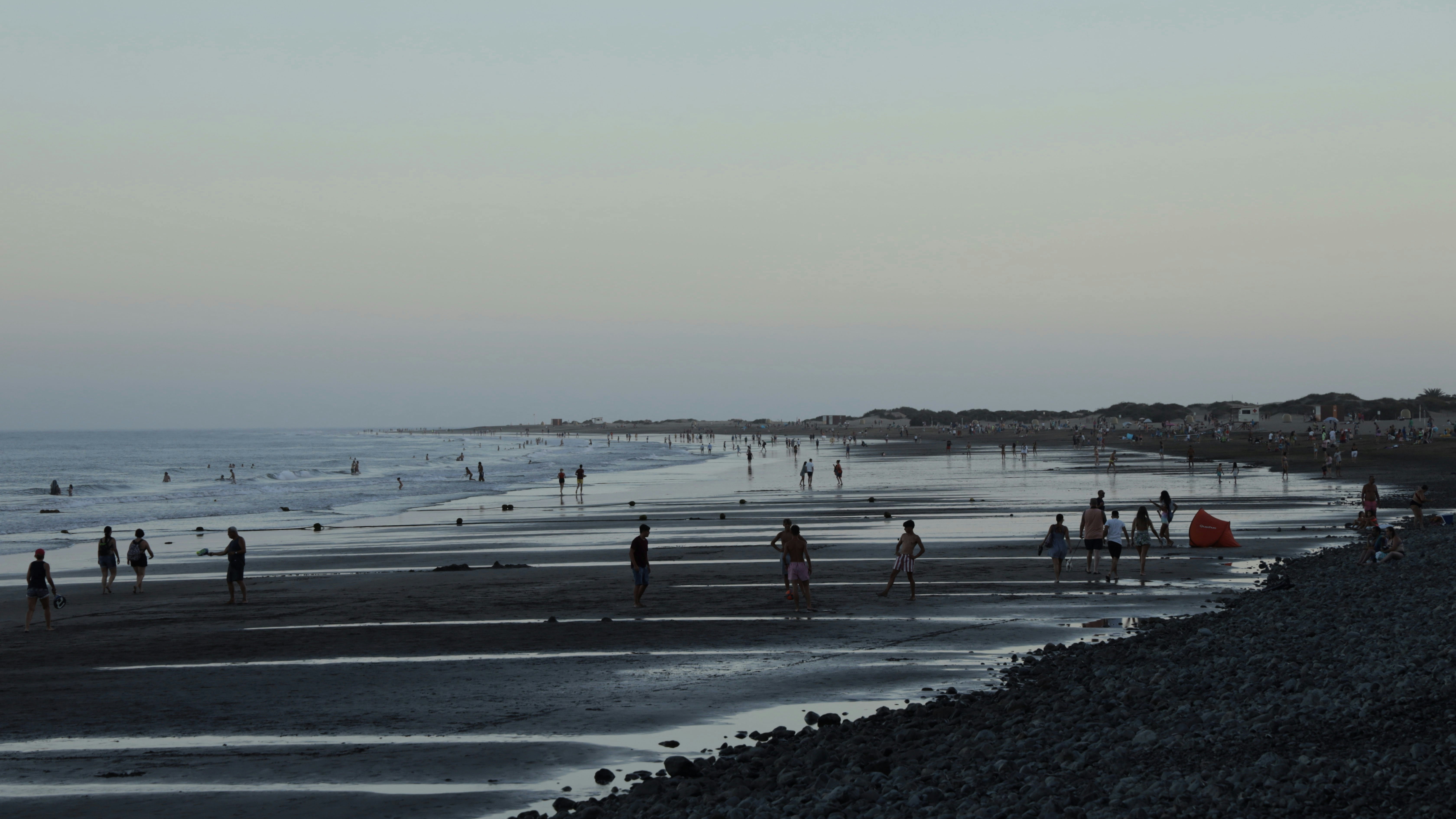 Dusk on the Seaside: Quiet Silhouettes Mark the Tidal Edge