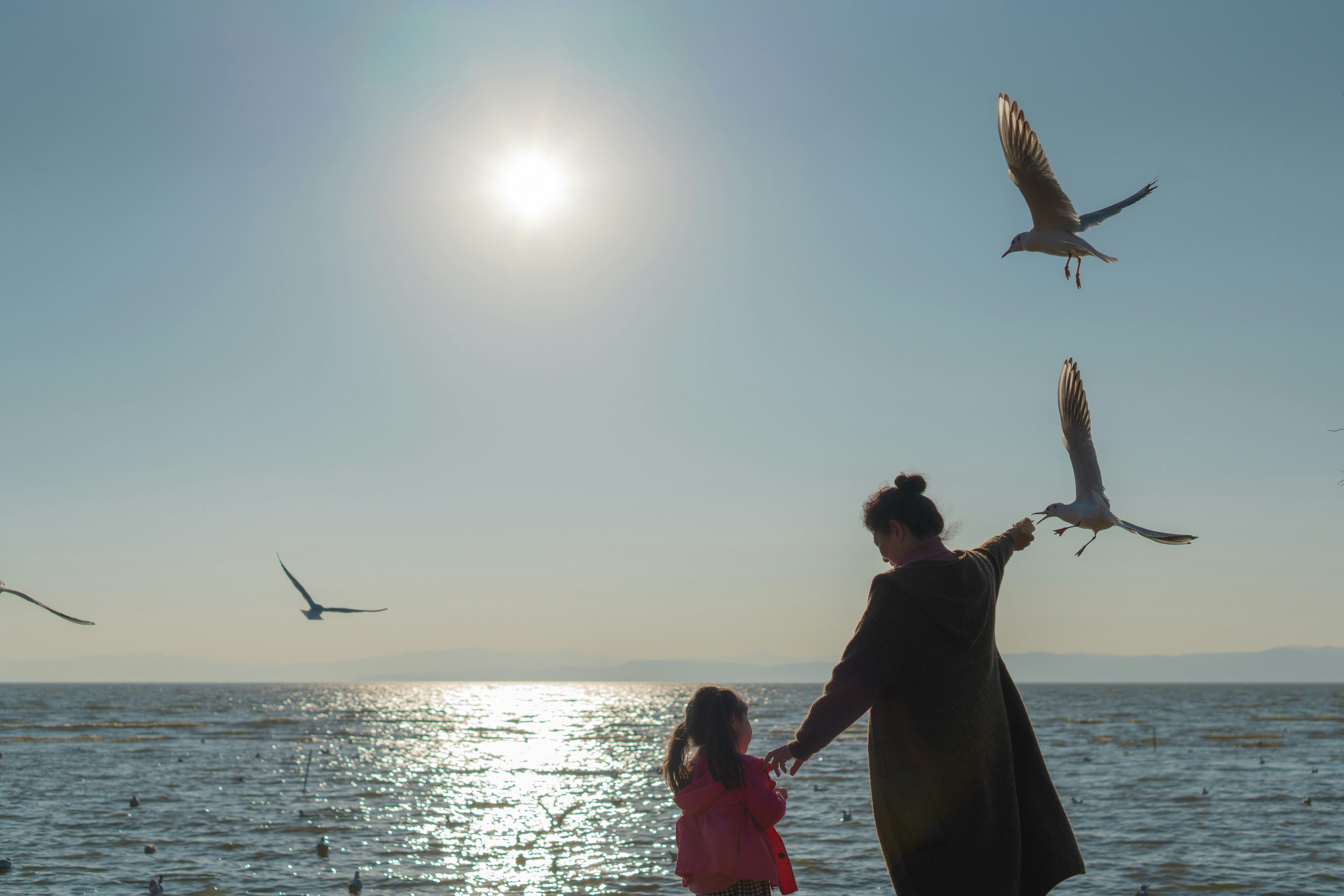 Holding Hands at Dusk: A Seaside Moment with Soaring Gulls