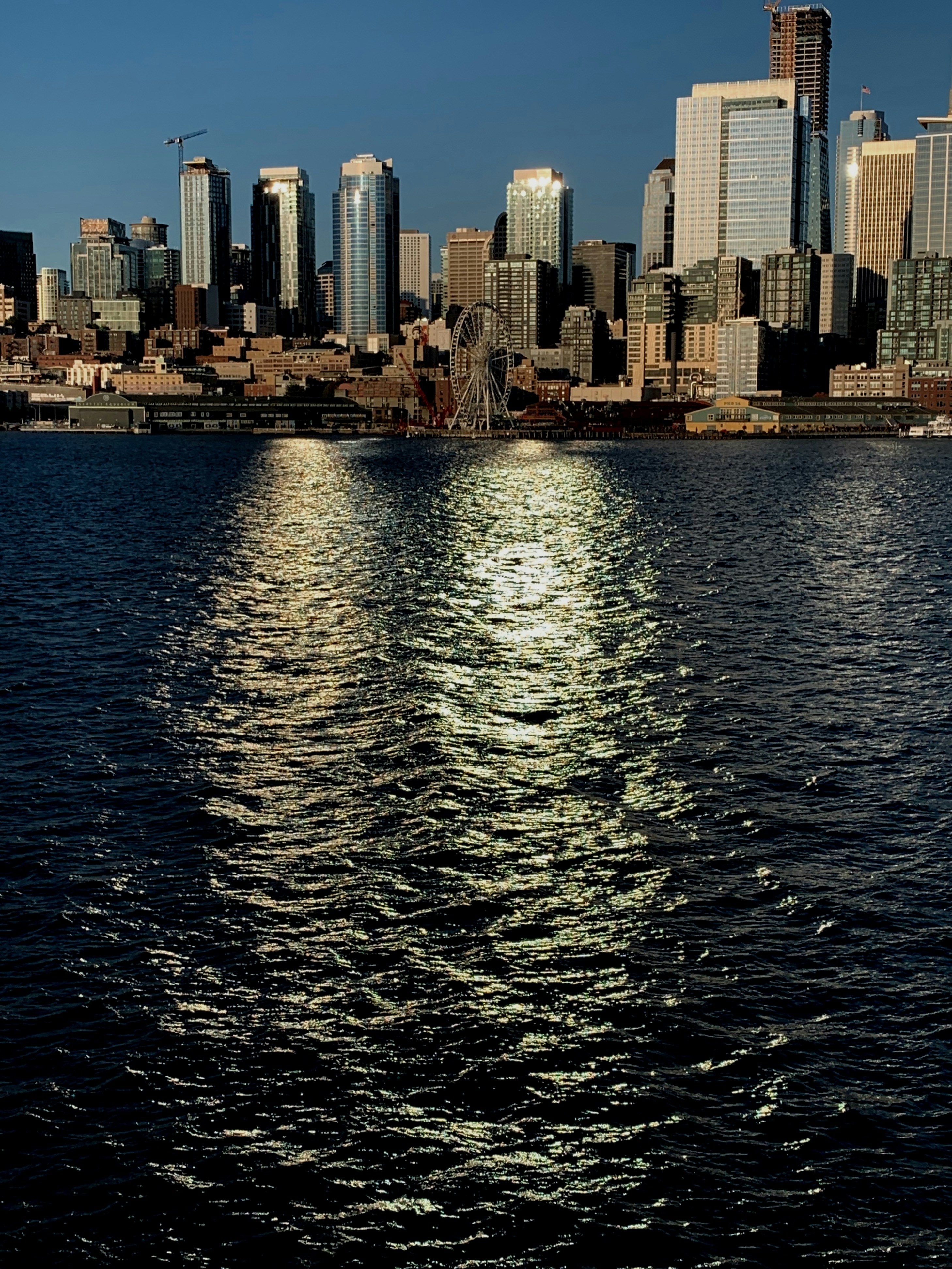 Dusk on the Waterfront: Ferris Wheel Framing Glass Skyscrapers