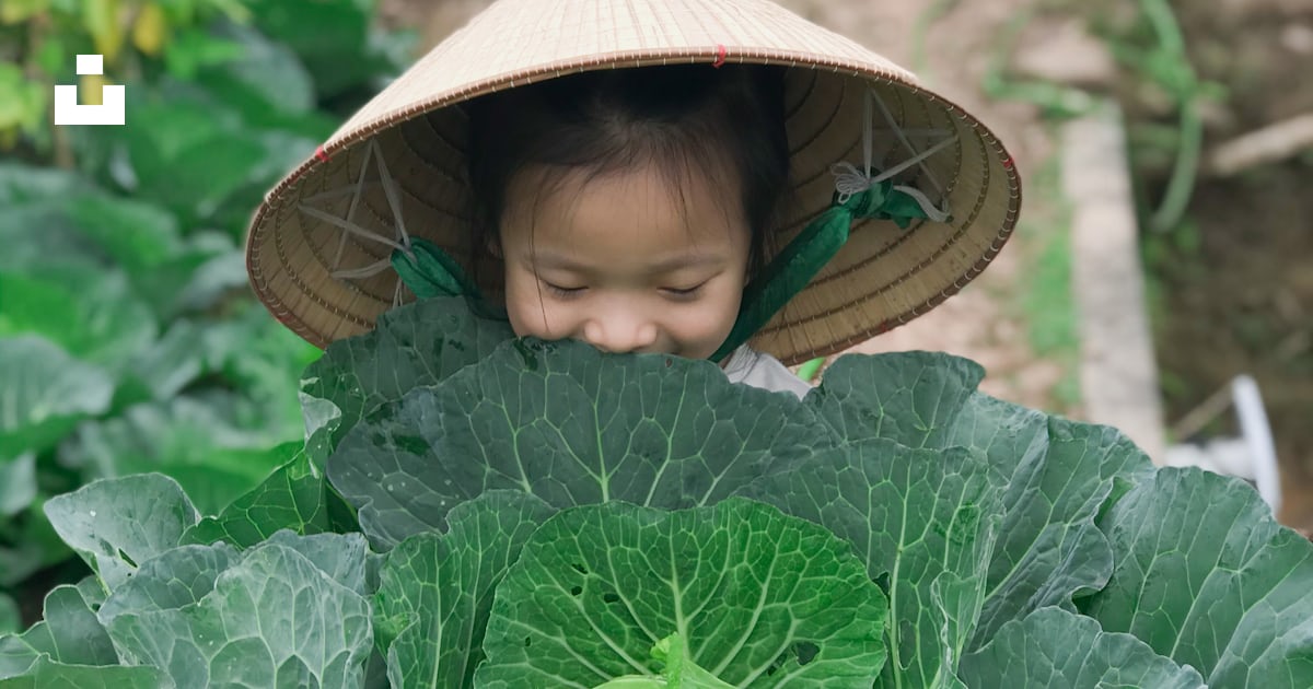 緑と白の花柄のヒジャーブを着た女性の写真 Unsplashの無料衣服写真