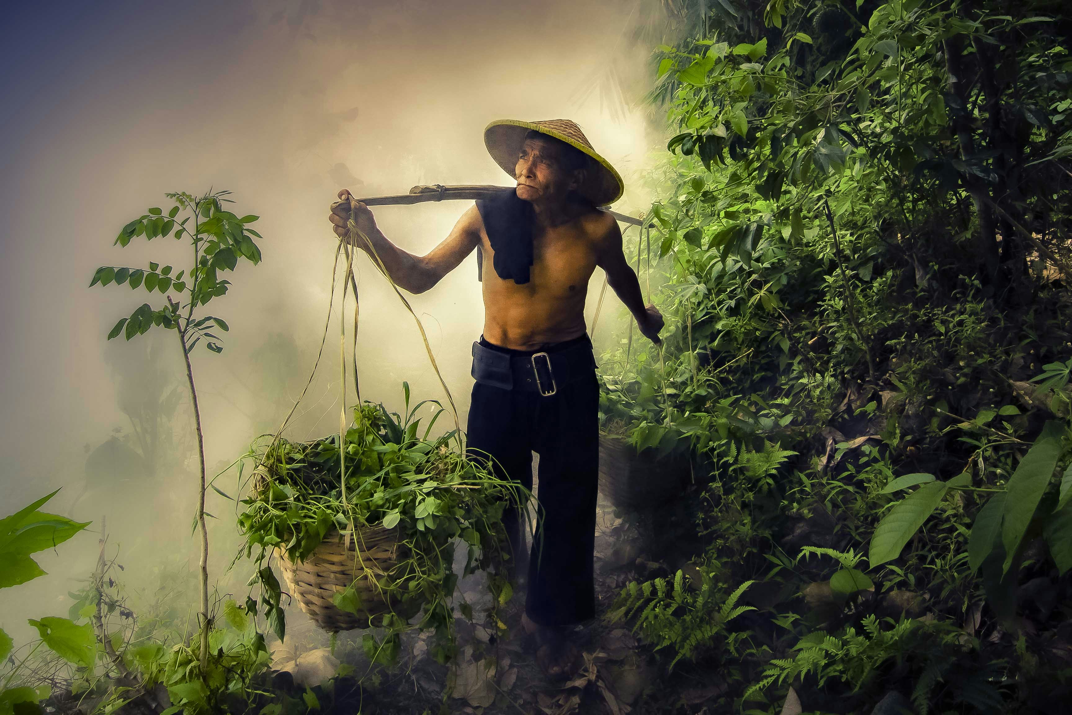 Riverstoked Carrier: A Lantern-carrying Farmer in Misty Jungle