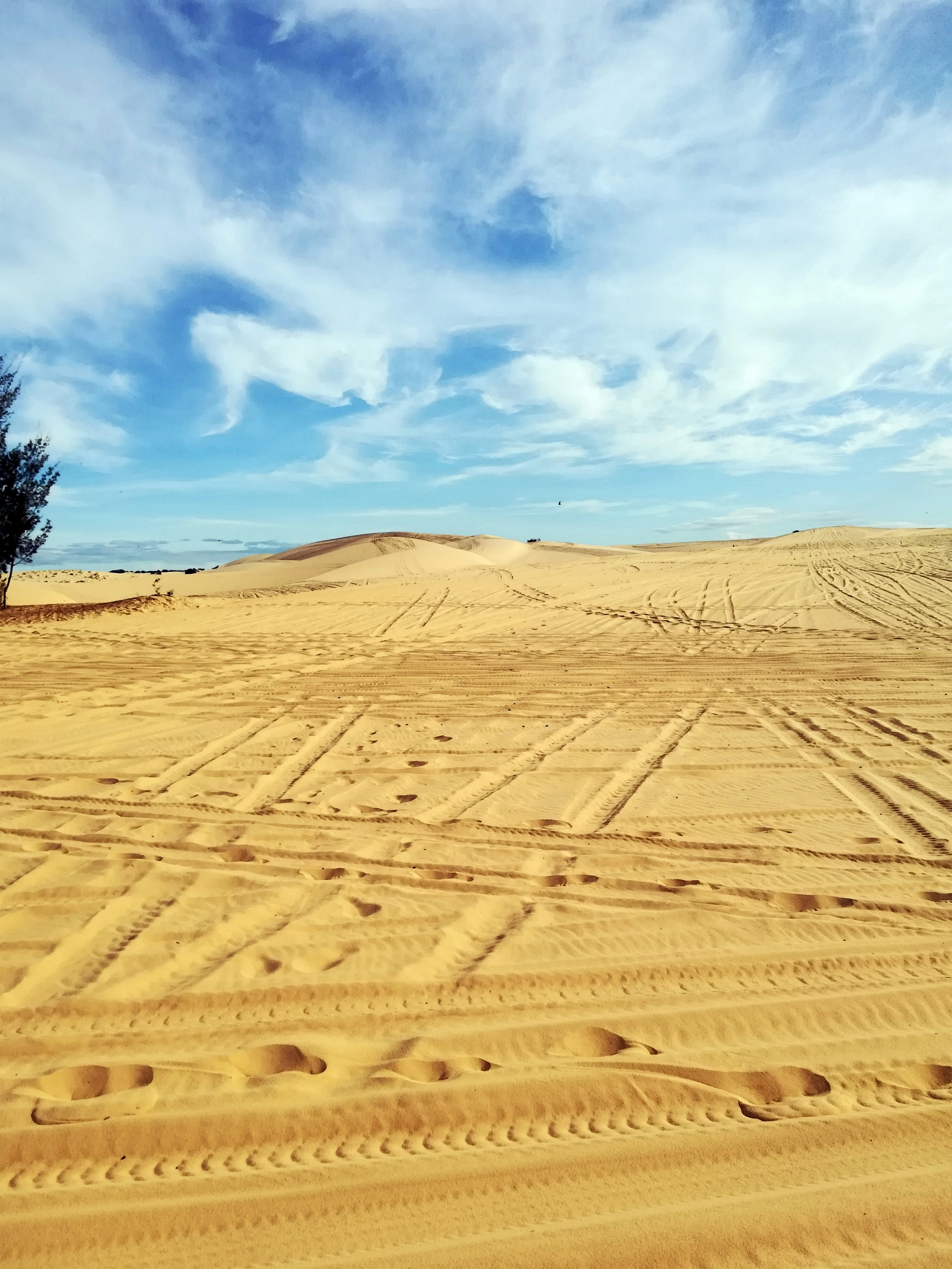 Desert landscape featuring tire tracks on golden sand under a vast blue sky with wispy clouds. A lone tree stands in the foreground, adding depth to the scene.