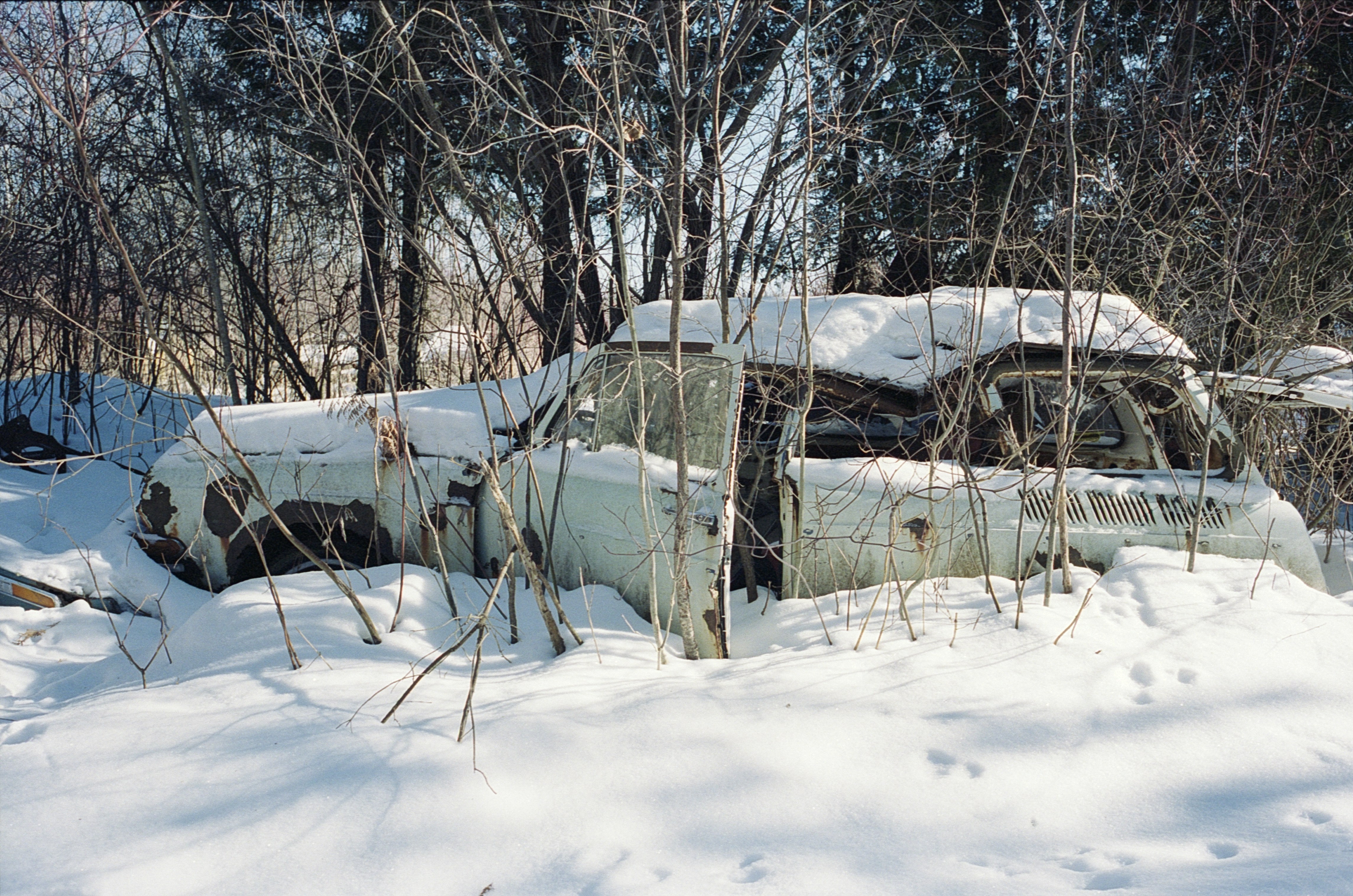white car covered with snow