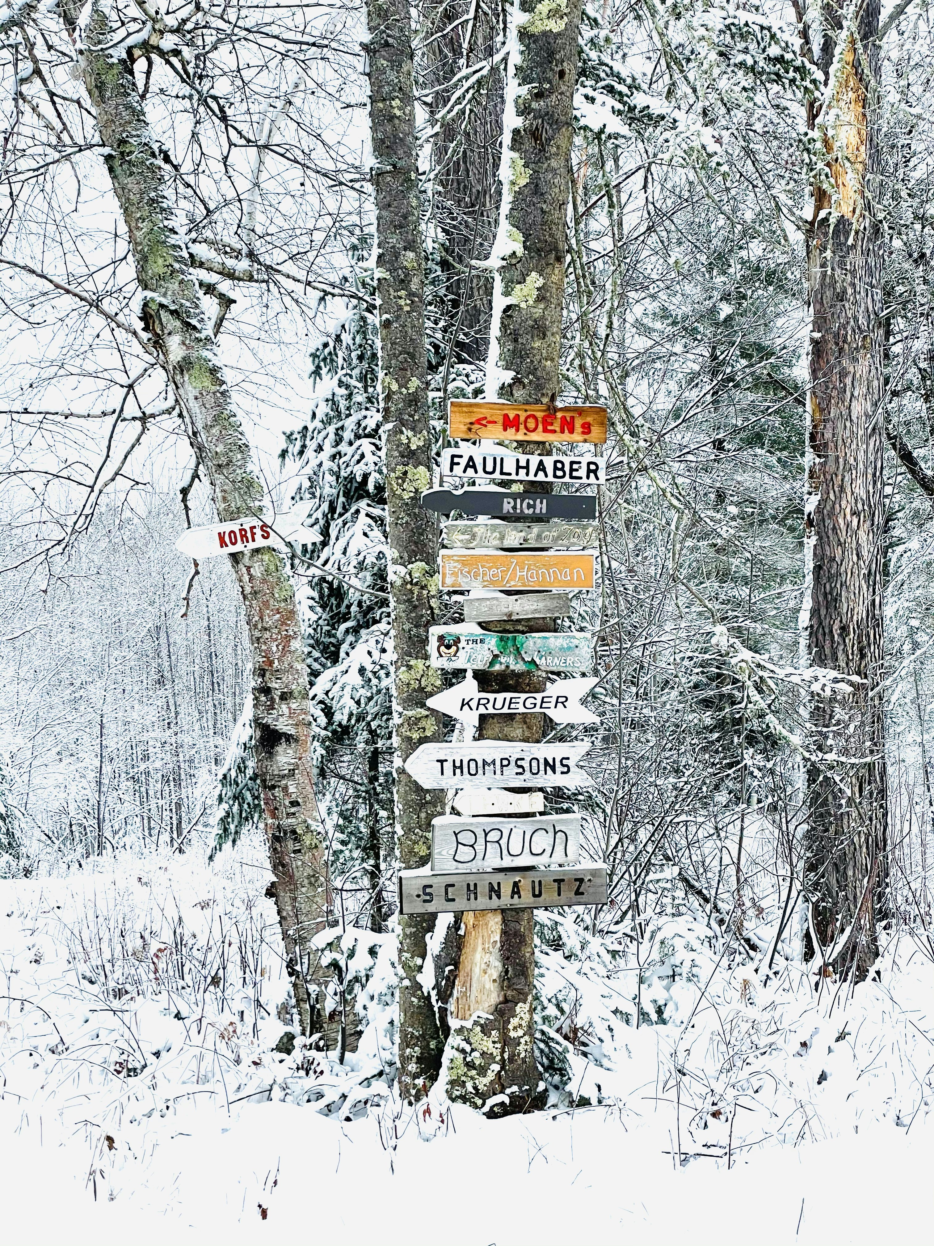 brown wooden street sign near trees covered with snow during daytime