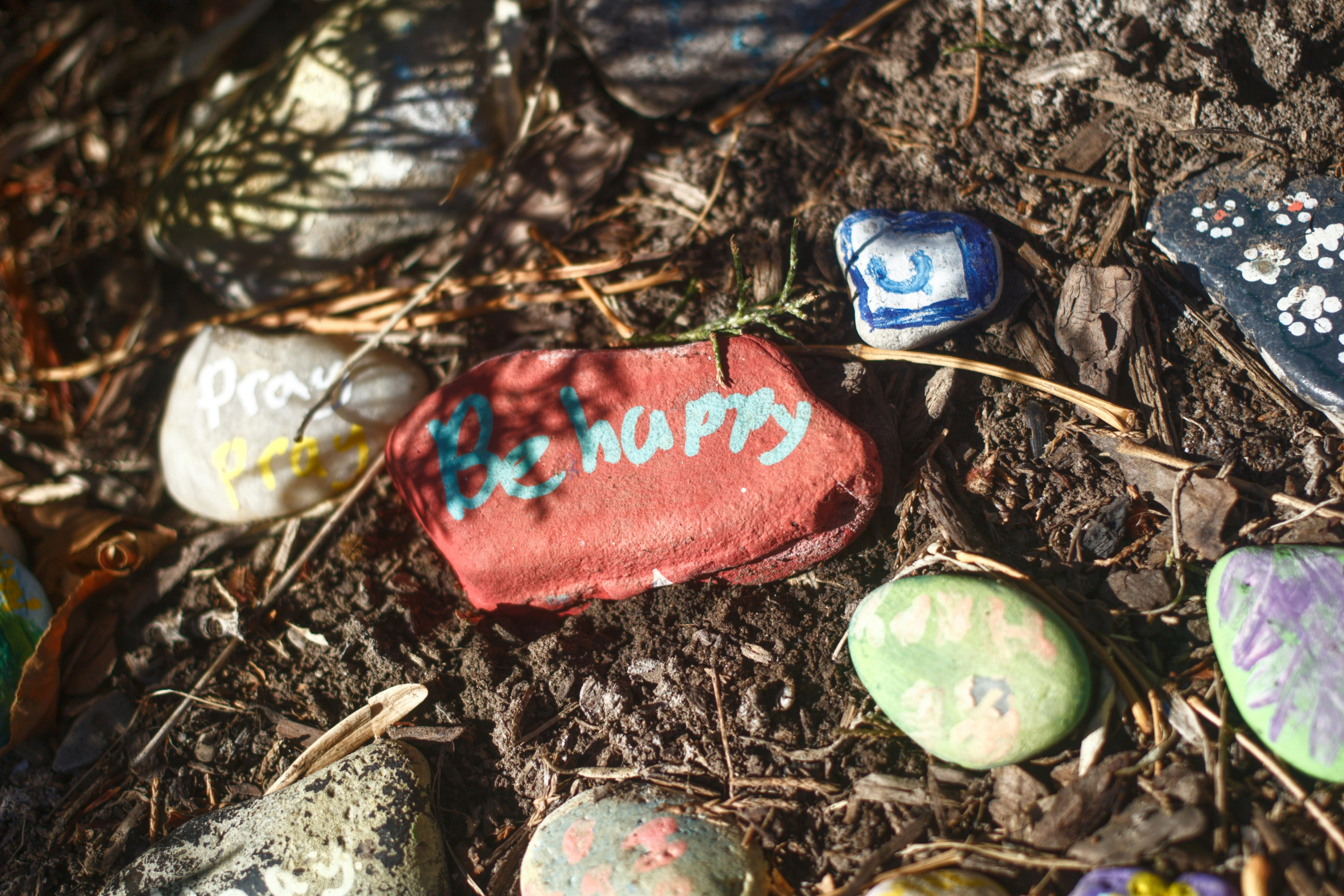 Colorful Painted Pebbles Quietly Scatter the Forest Floor