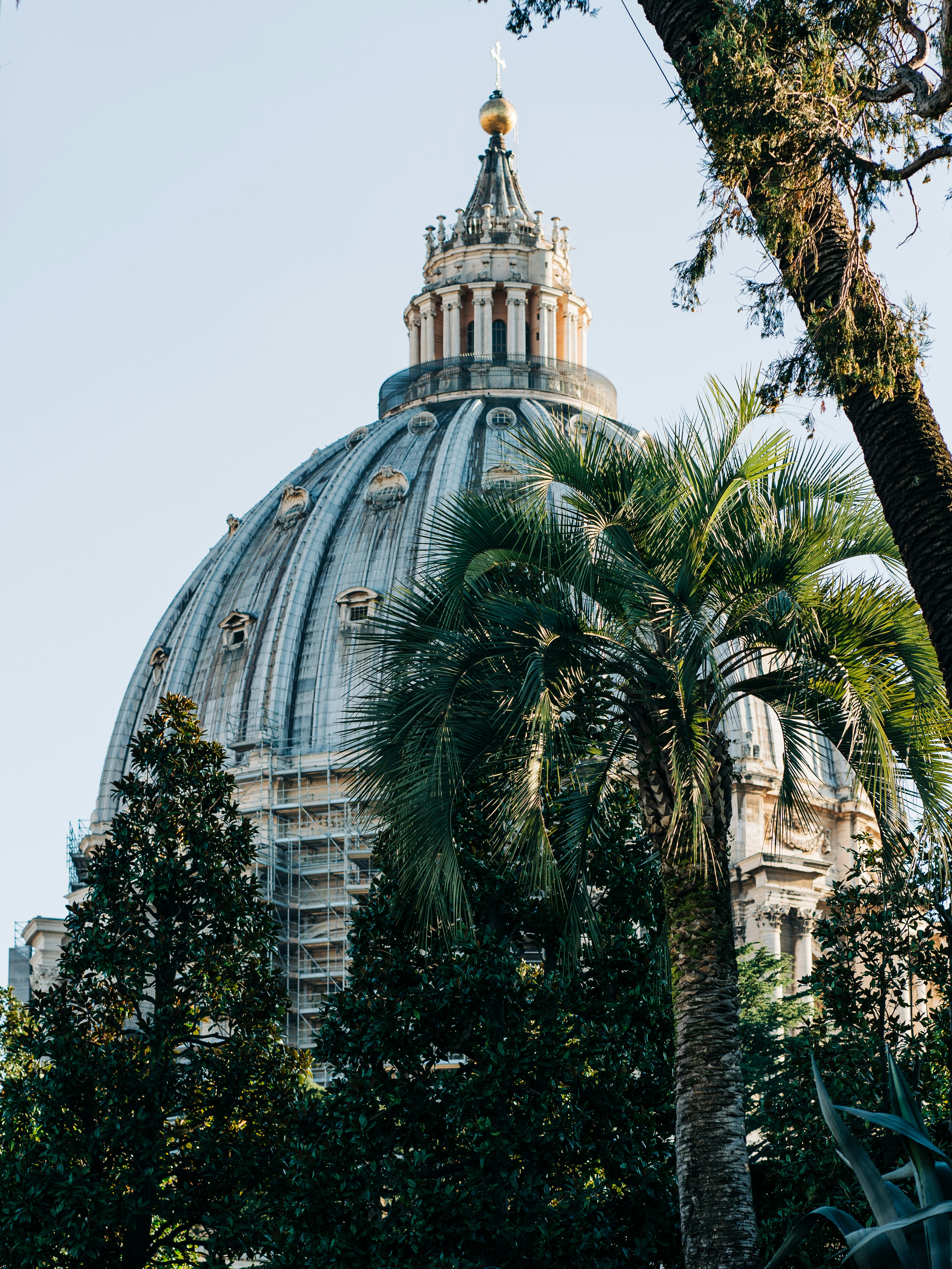 Dome in the Greens: Palm-framed Cathedral Under a Clear Sky