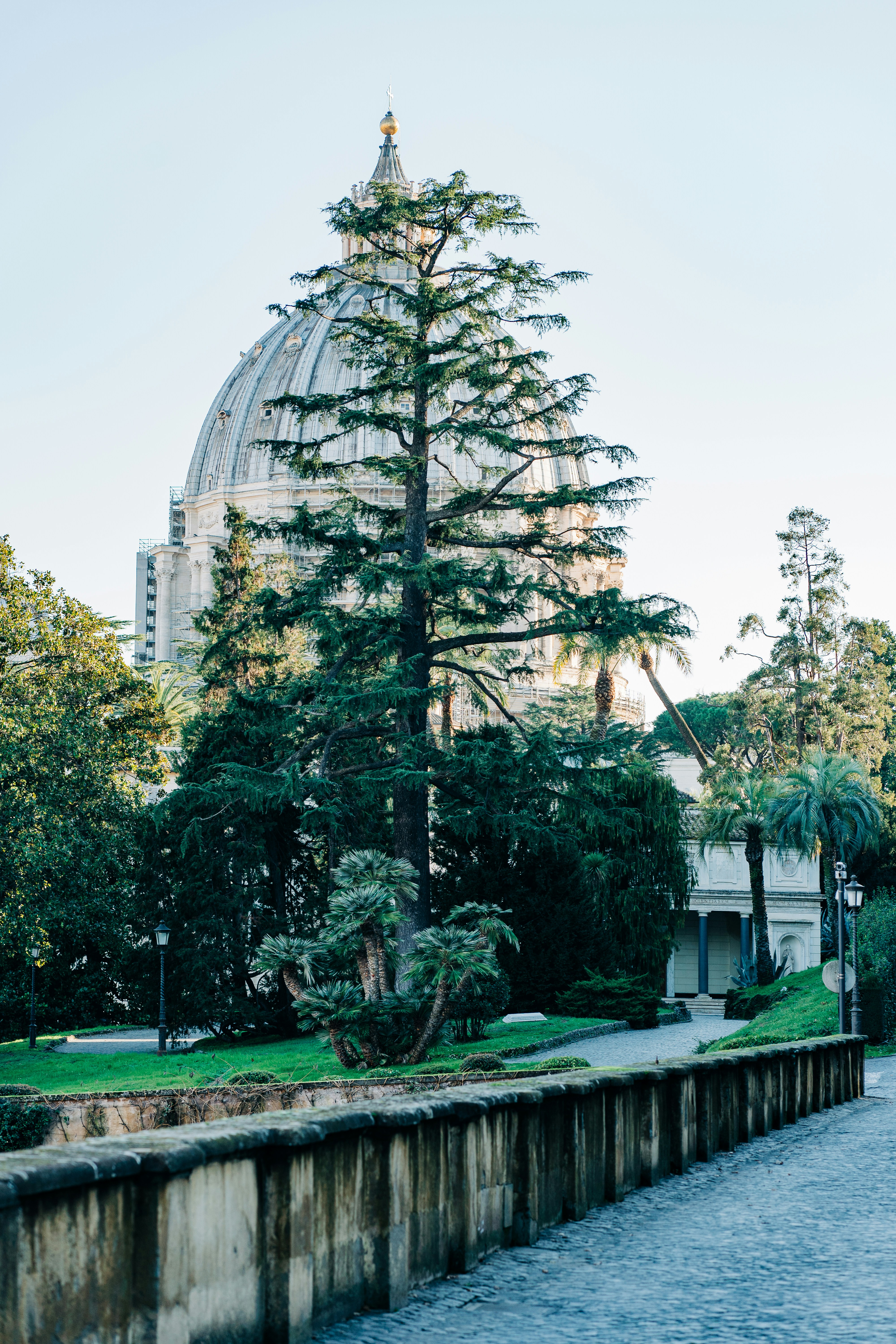 A majestic dome rises above lush greenery, framed by towering trees in a serene park setting. The scene invites exploration and reflection.